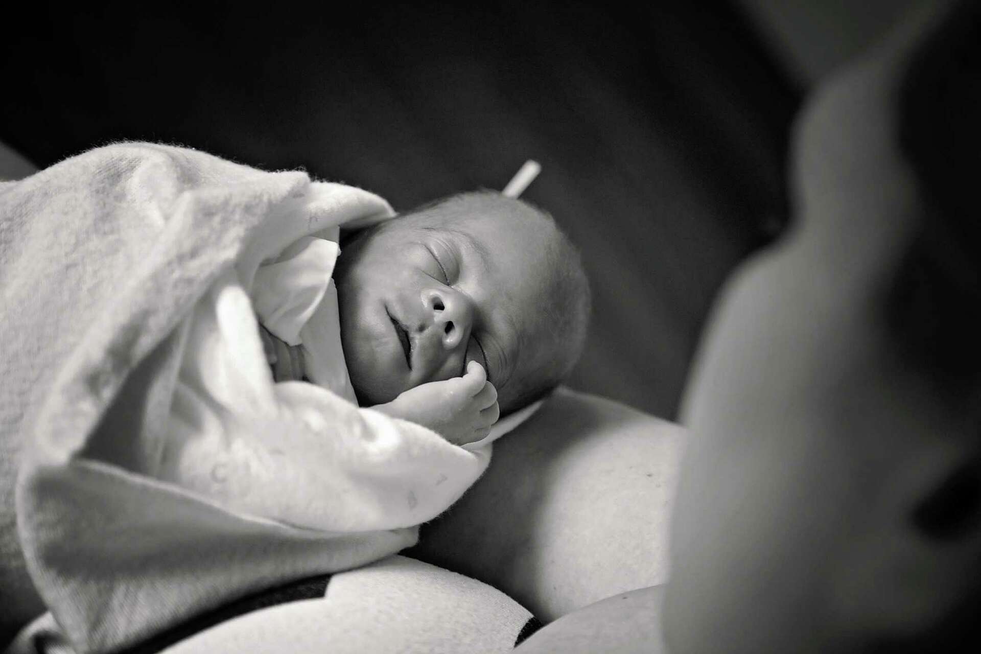 Volunteer photographers preserve families' memories of babies lost at birth