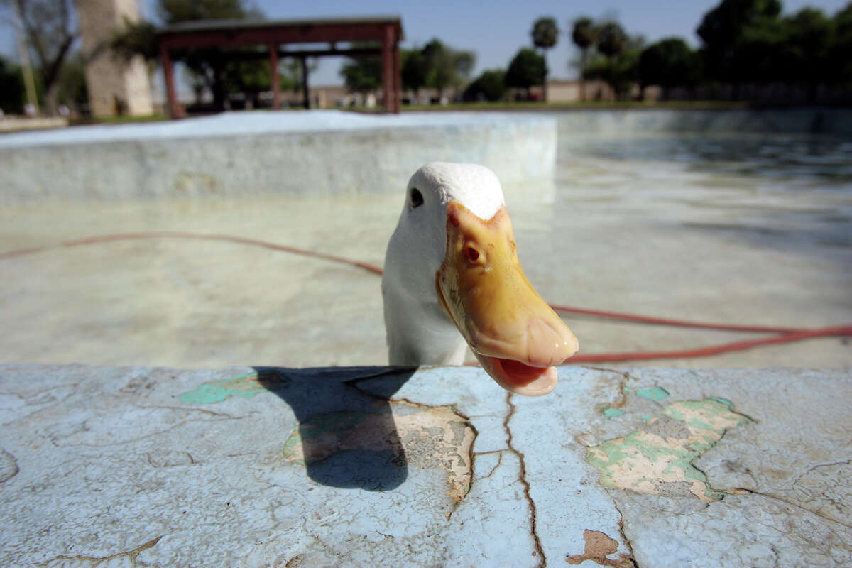 Fort Sam’s Quadrangle has a rich, storied past