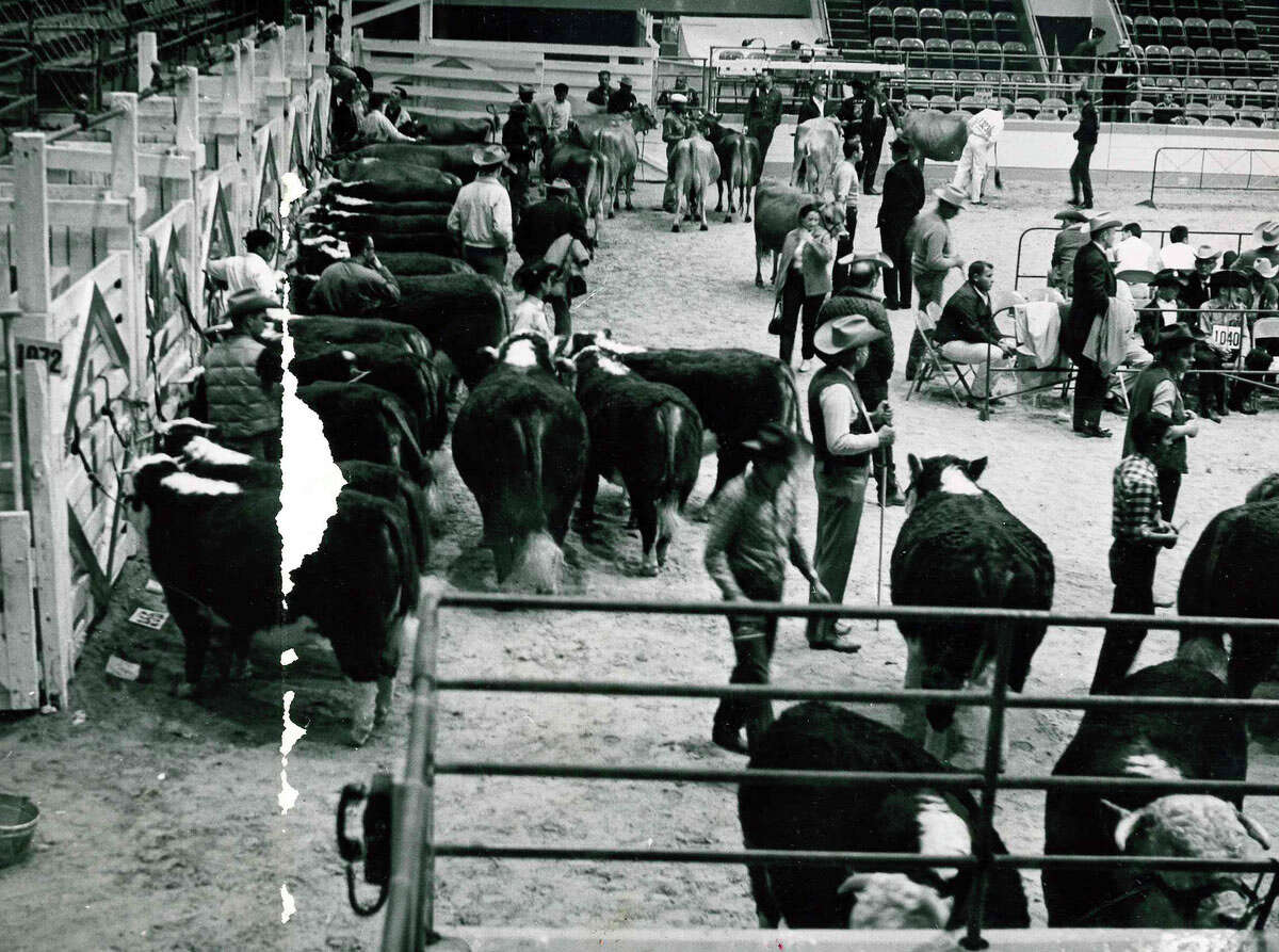 What the Houston Livestock Show and Rodeo was like in the 1960s