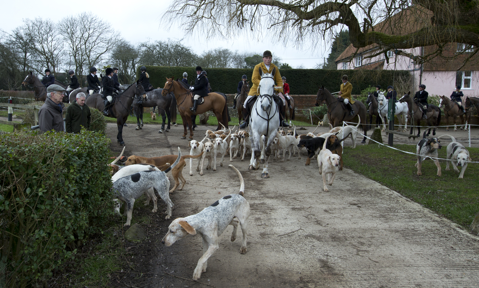 Fox hunting still common in rural England, 10 years after ban
