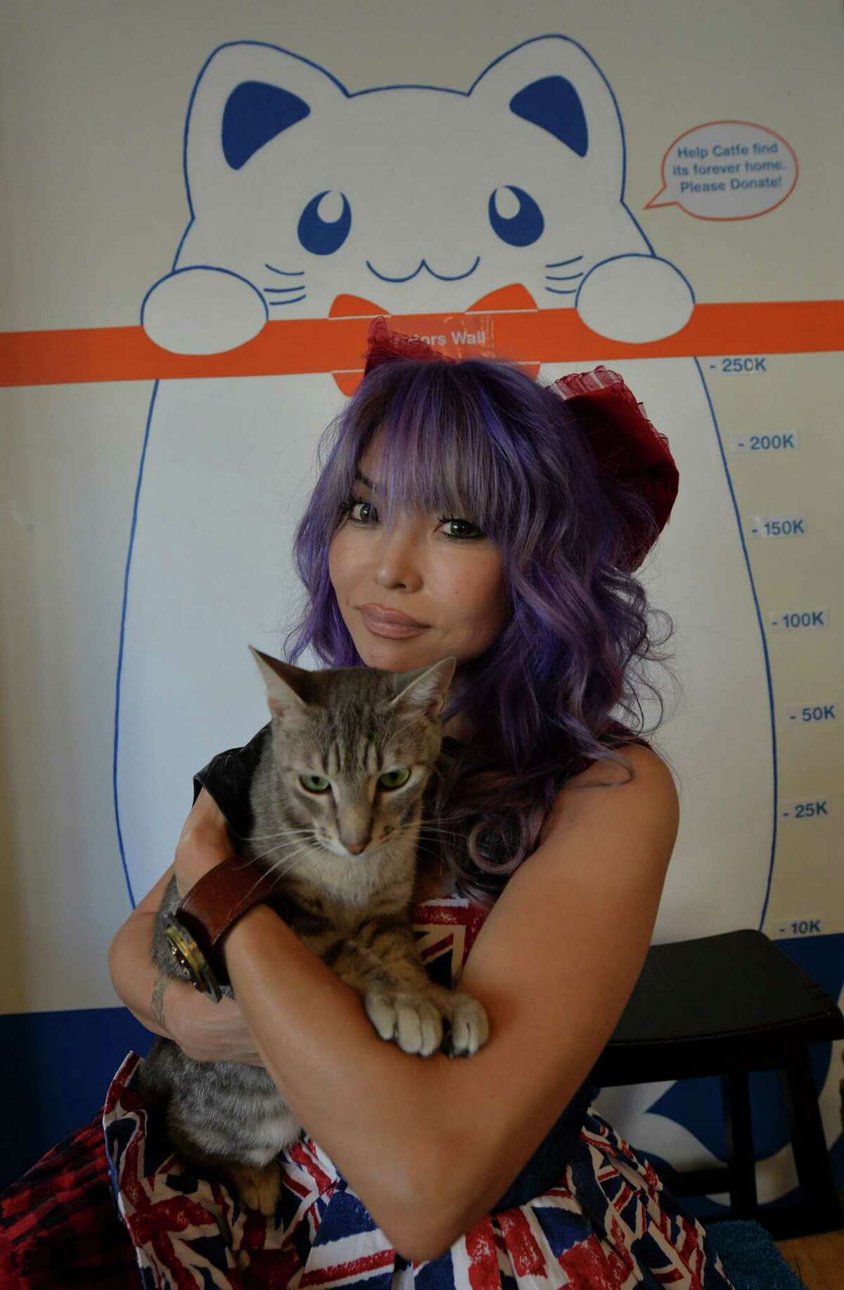 Crowdfunding campaign aims to open first Texas cat café in San Antonio