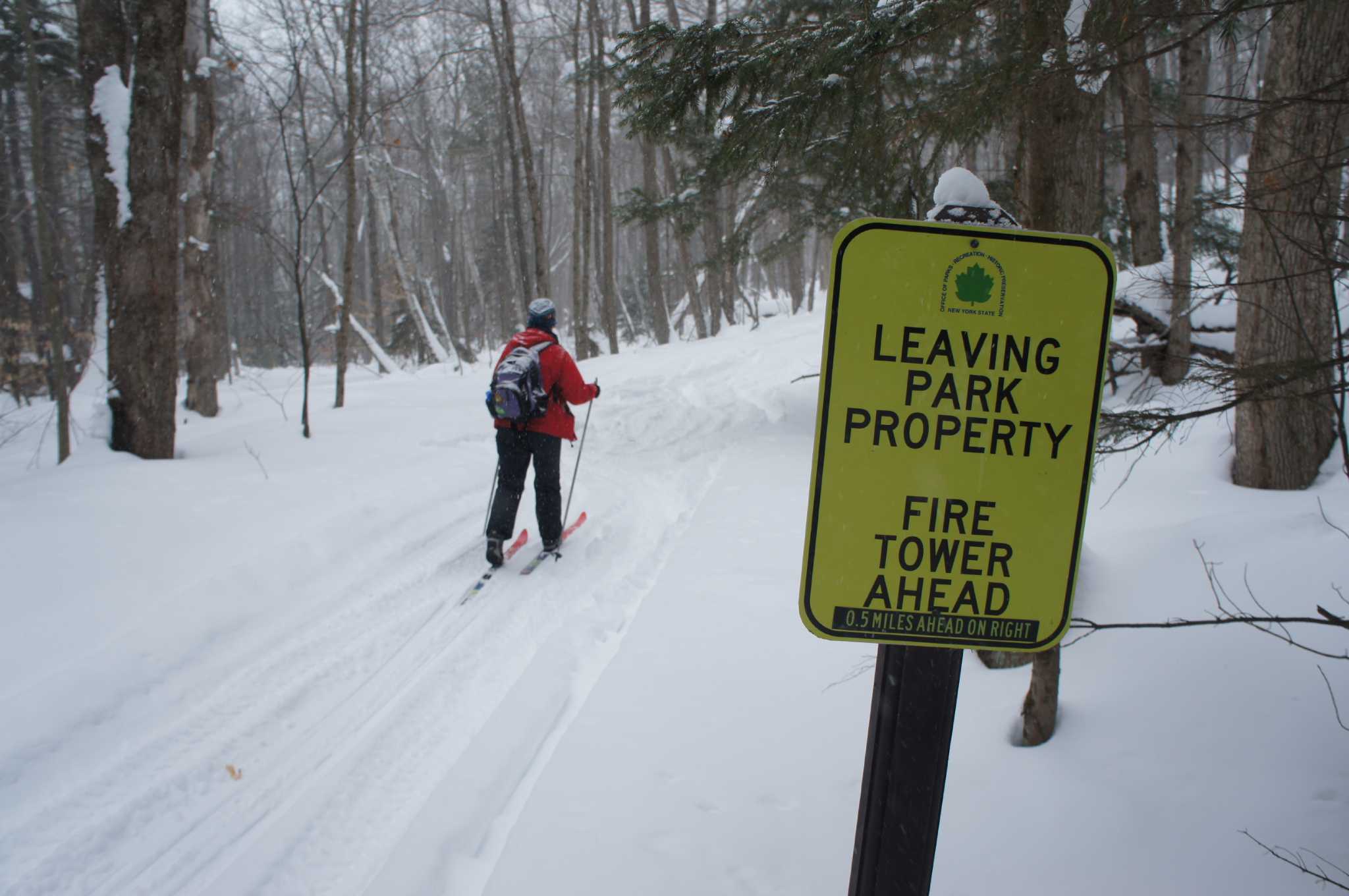 Taking path to unexpected adventure