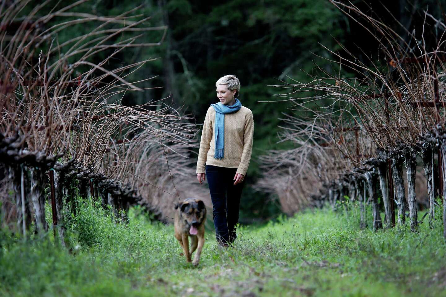 A Napa family finesses Cabernet, with Burgundy in mind