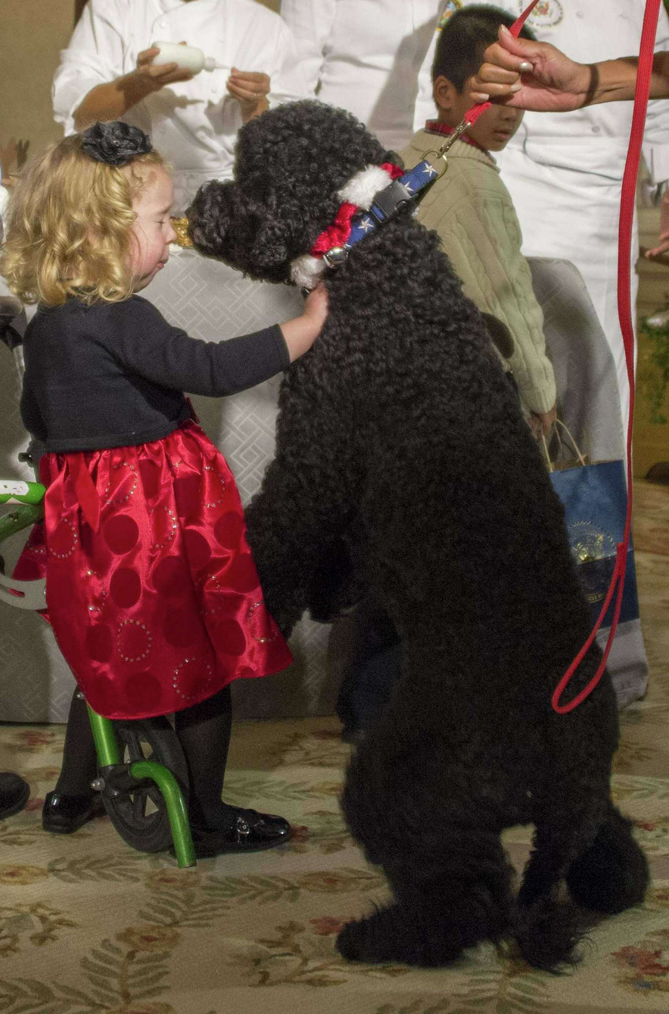 Greg Abbott adopts adorable golden retriever puppy named 'Pancake'