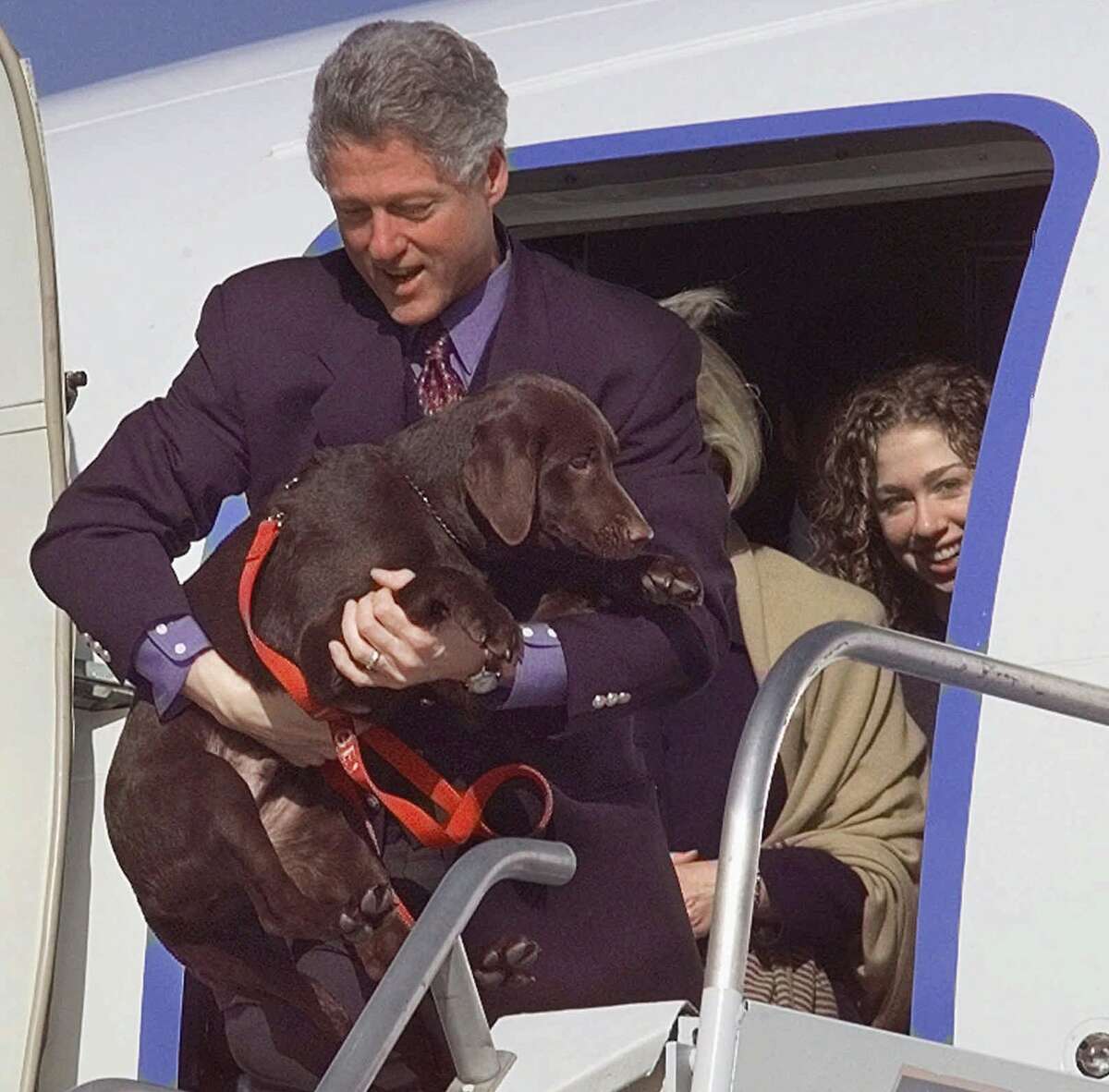 Greg Abbott adopts adorable golden retriever puppy named 'Pancake'