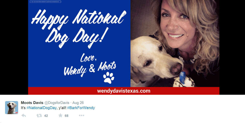 Greg Abbott adopts adorable golden retriever puppy named 'Pancake'