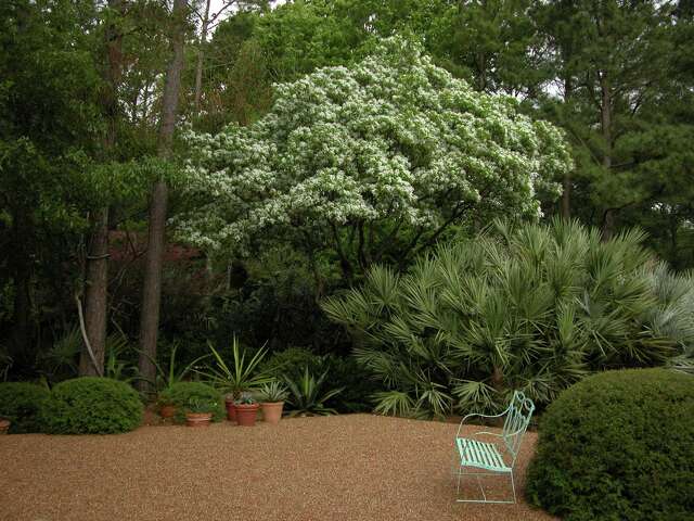 Peckerwood Garden created with the eye of an artist