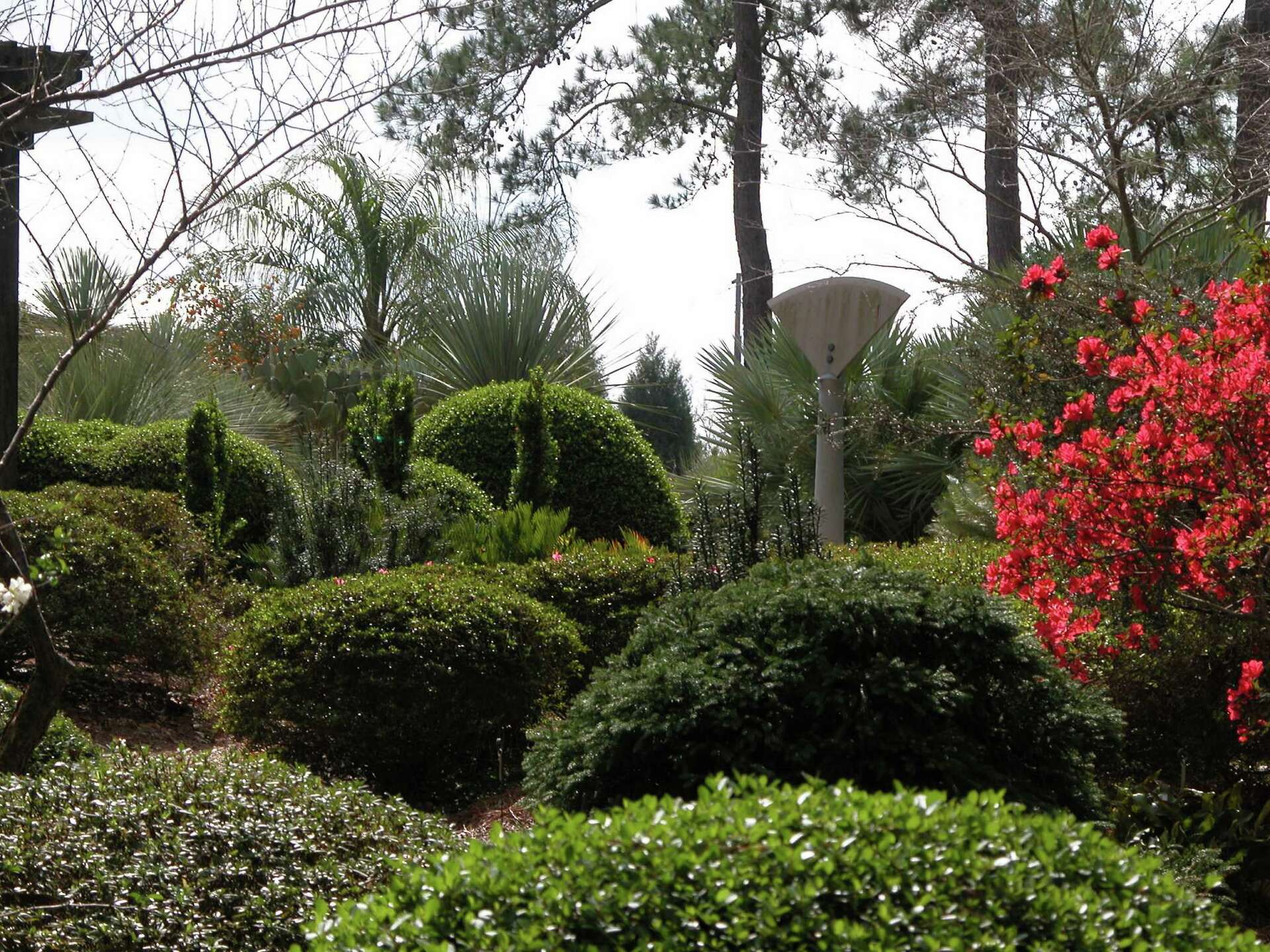 Peckerwood Garden created with the eye of an artist