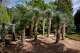 Peckerwood Garden created with the eye of an artist