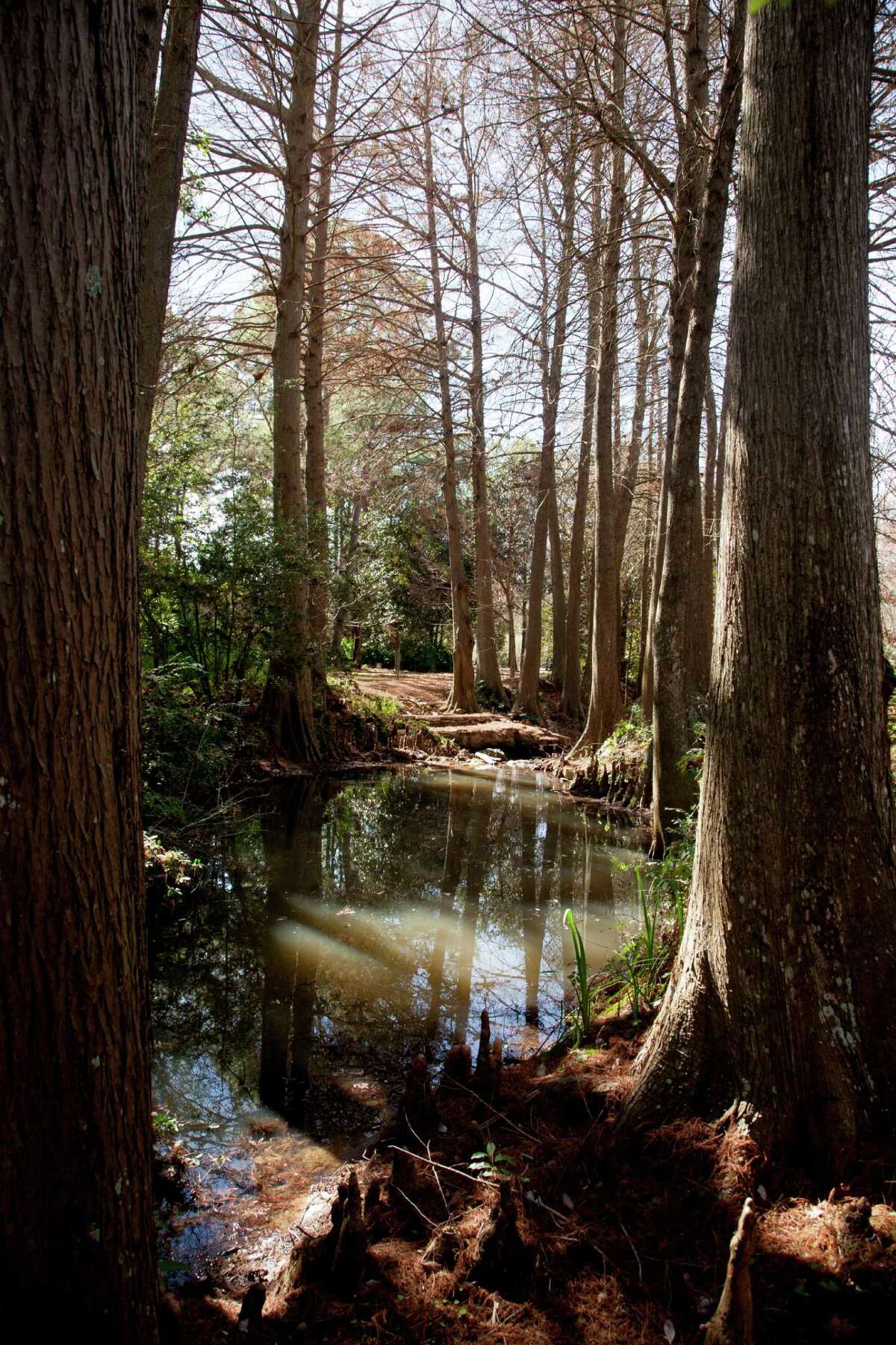 Peckerwood Garden full of surprises