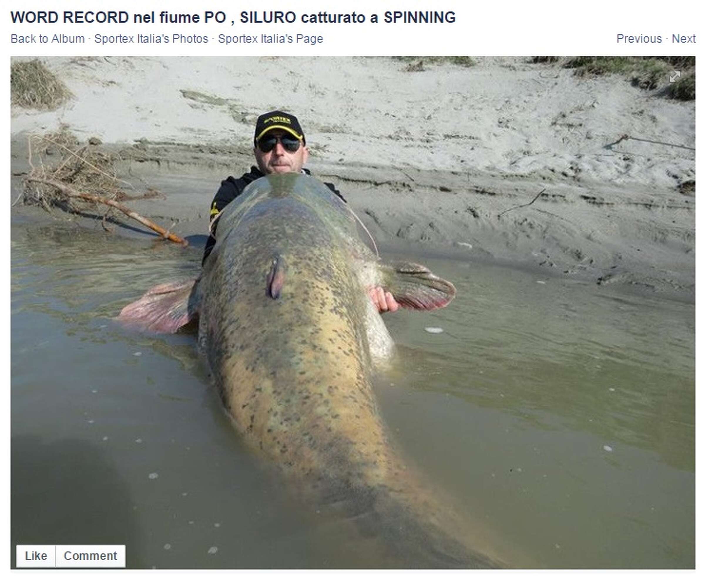 Italian fisherman catches enormous 280-pound wels catfish in Italian river