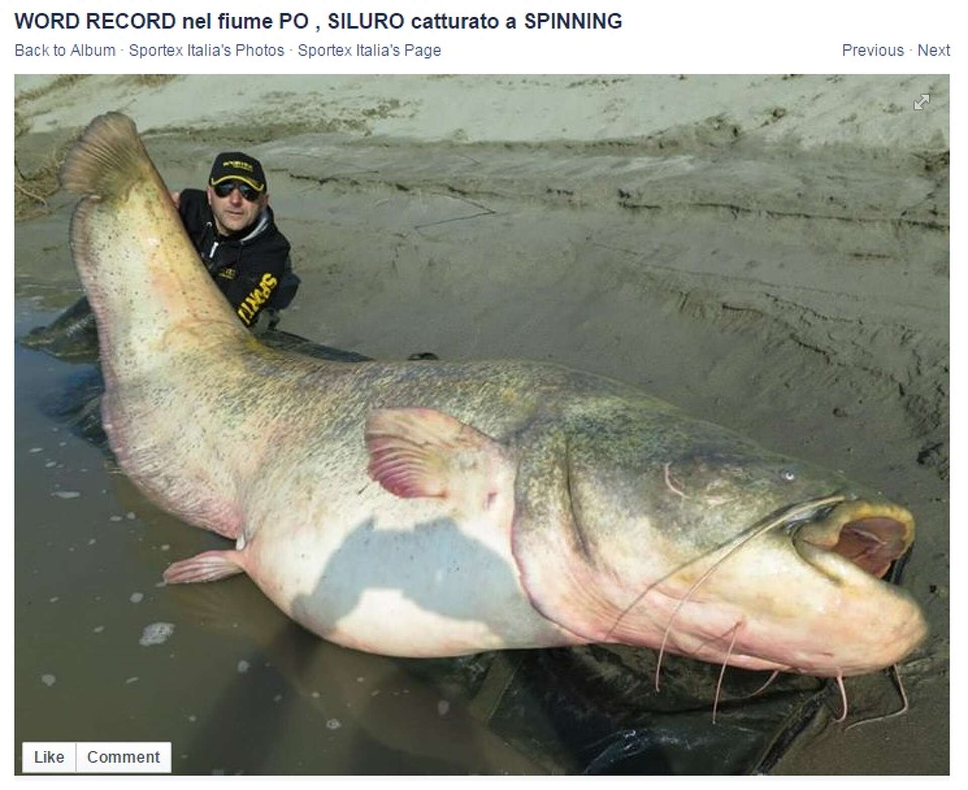 Italian fisherman catches enormous 280-pound wels catfish in Italian river