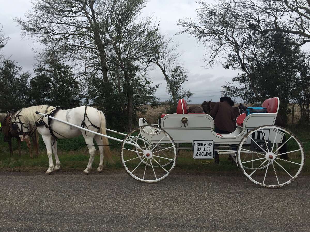 Houston Livestock Show & Rodeo trail rides raise awareness, carry on ...