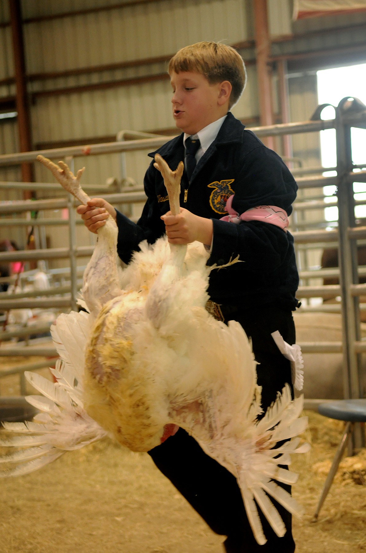 FFA reports another year of successful projects in Spring Branch ISD