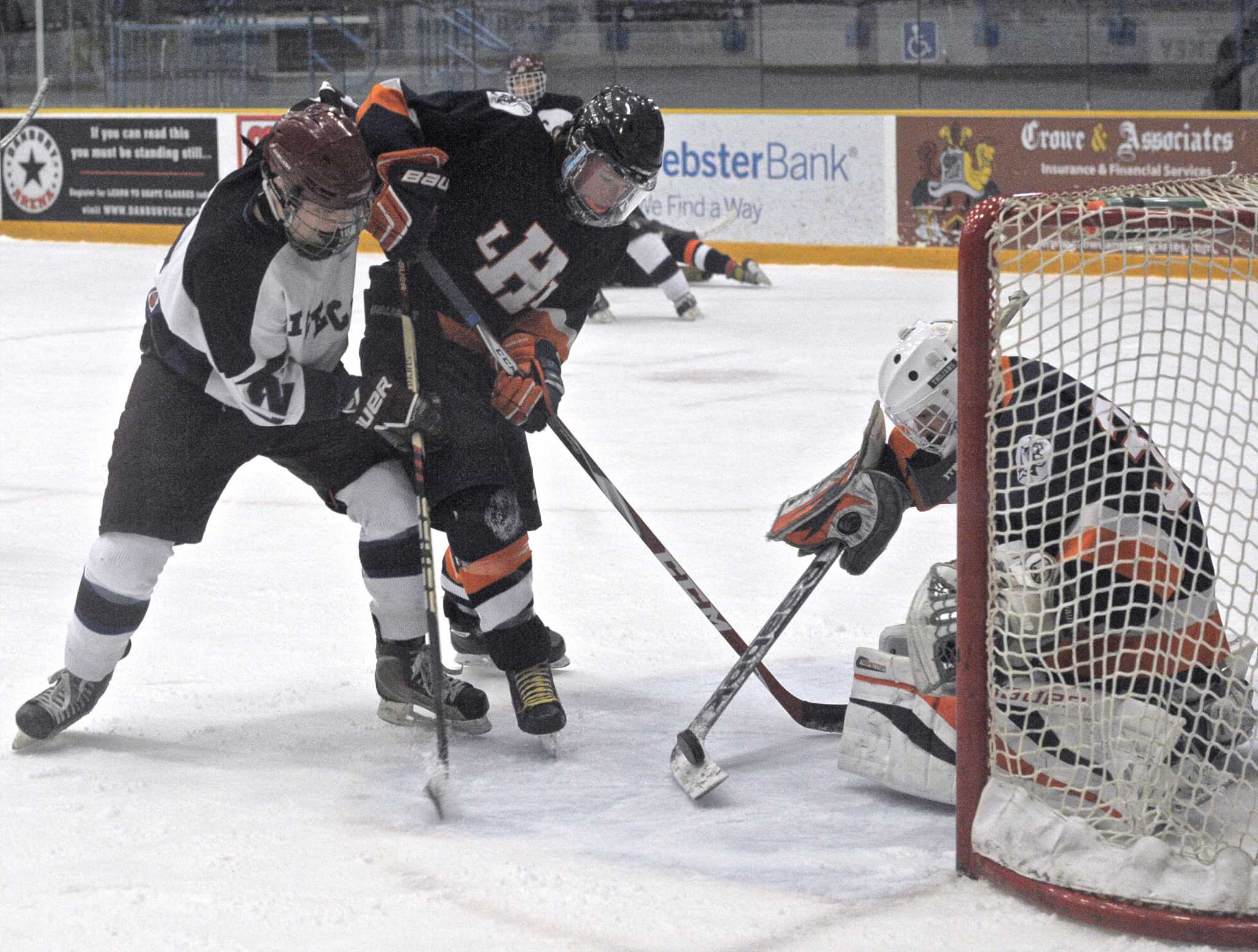 Come-from-behind win clinches state tournament berth for BBD hockey team