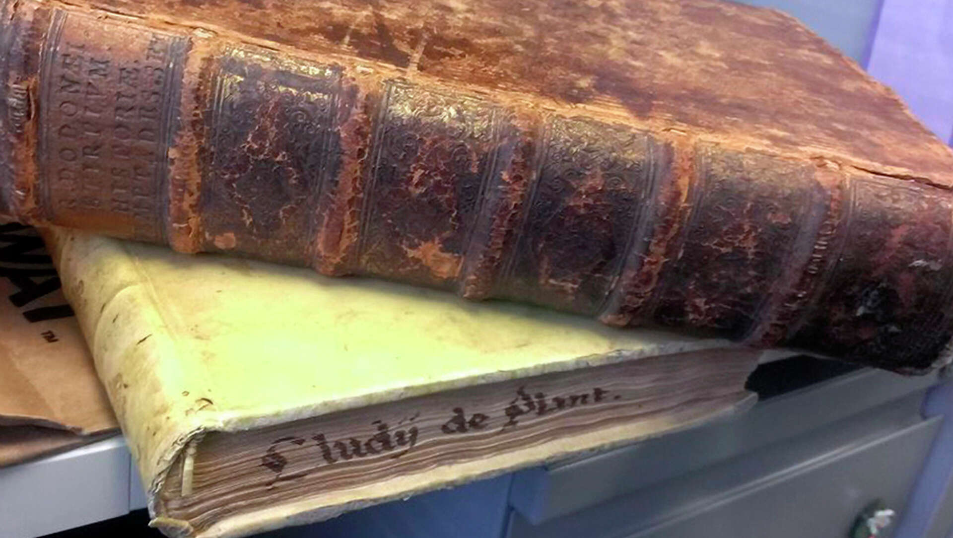 Inside the journey of stolen 400-year-old Italian books