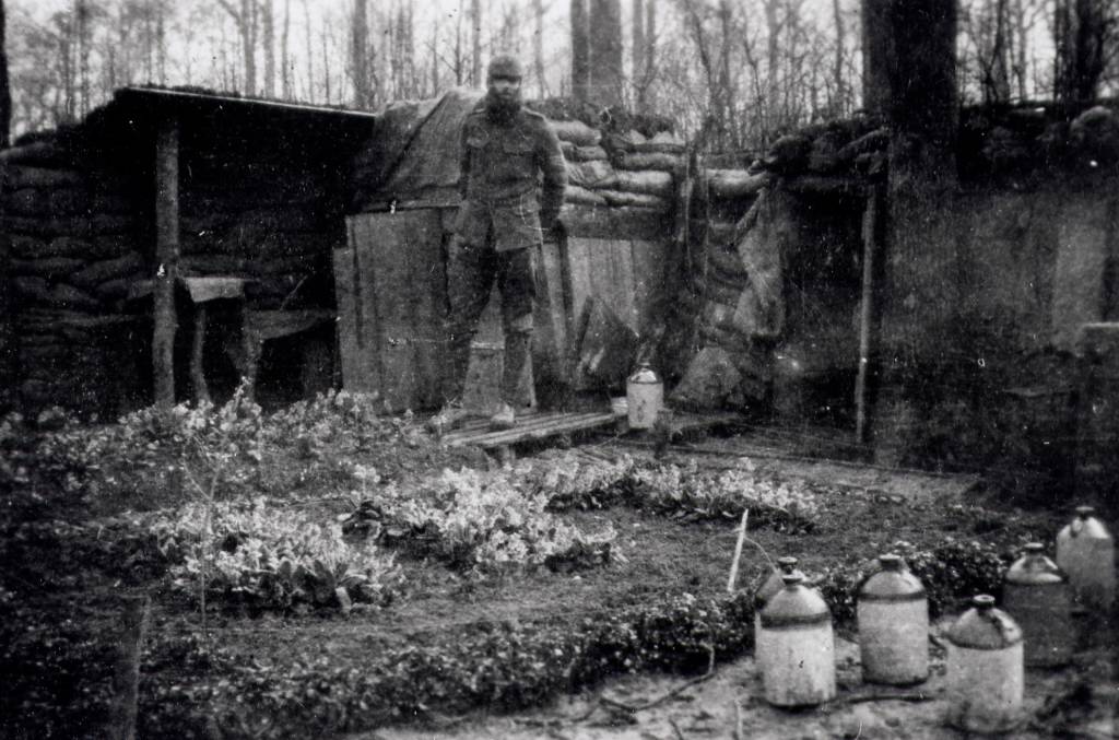 Soldiers at war turn to gardens for peace of mind