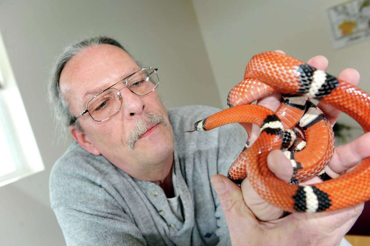 Help for creatures big and small