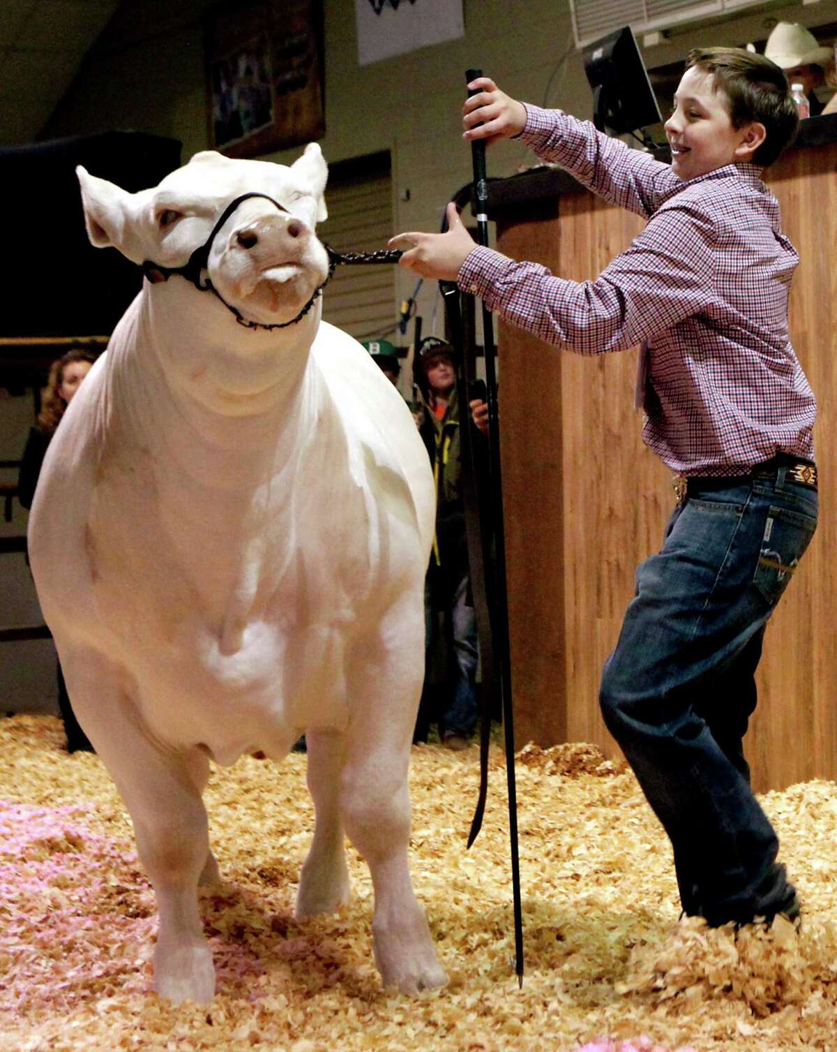 Champion steer nets $130,000 haul