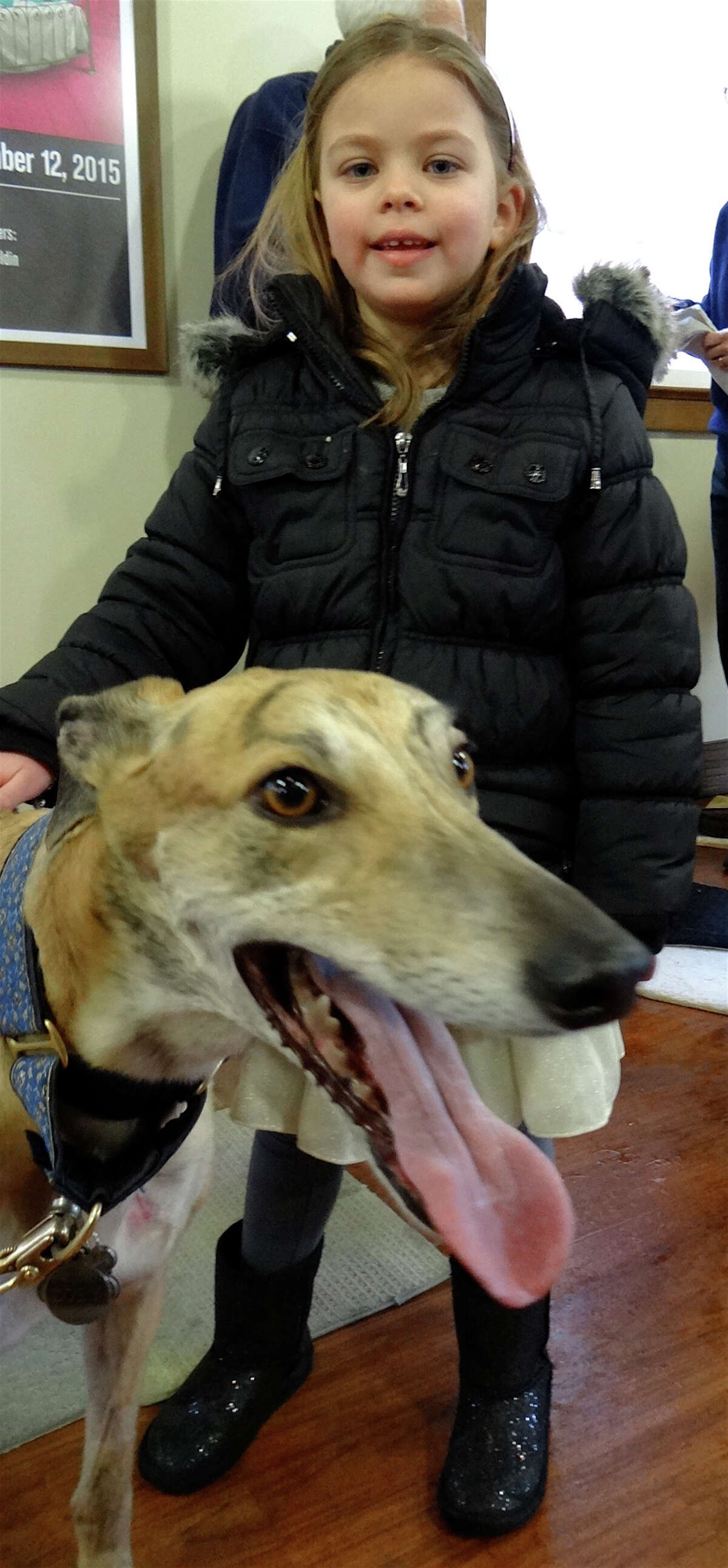 Therapy dogs are show stoppers at Westport Playhouse