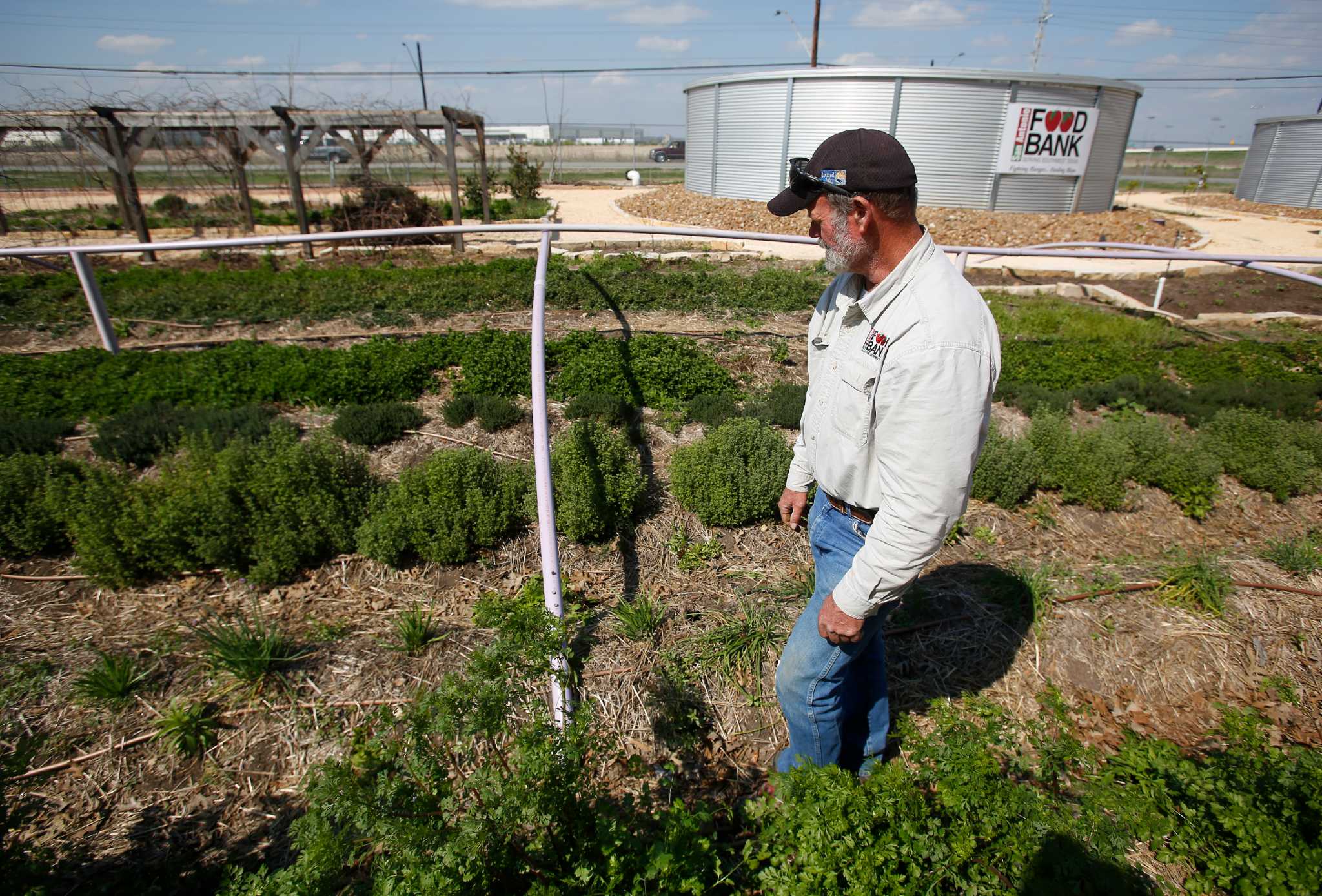 New tests conclude soil is safe