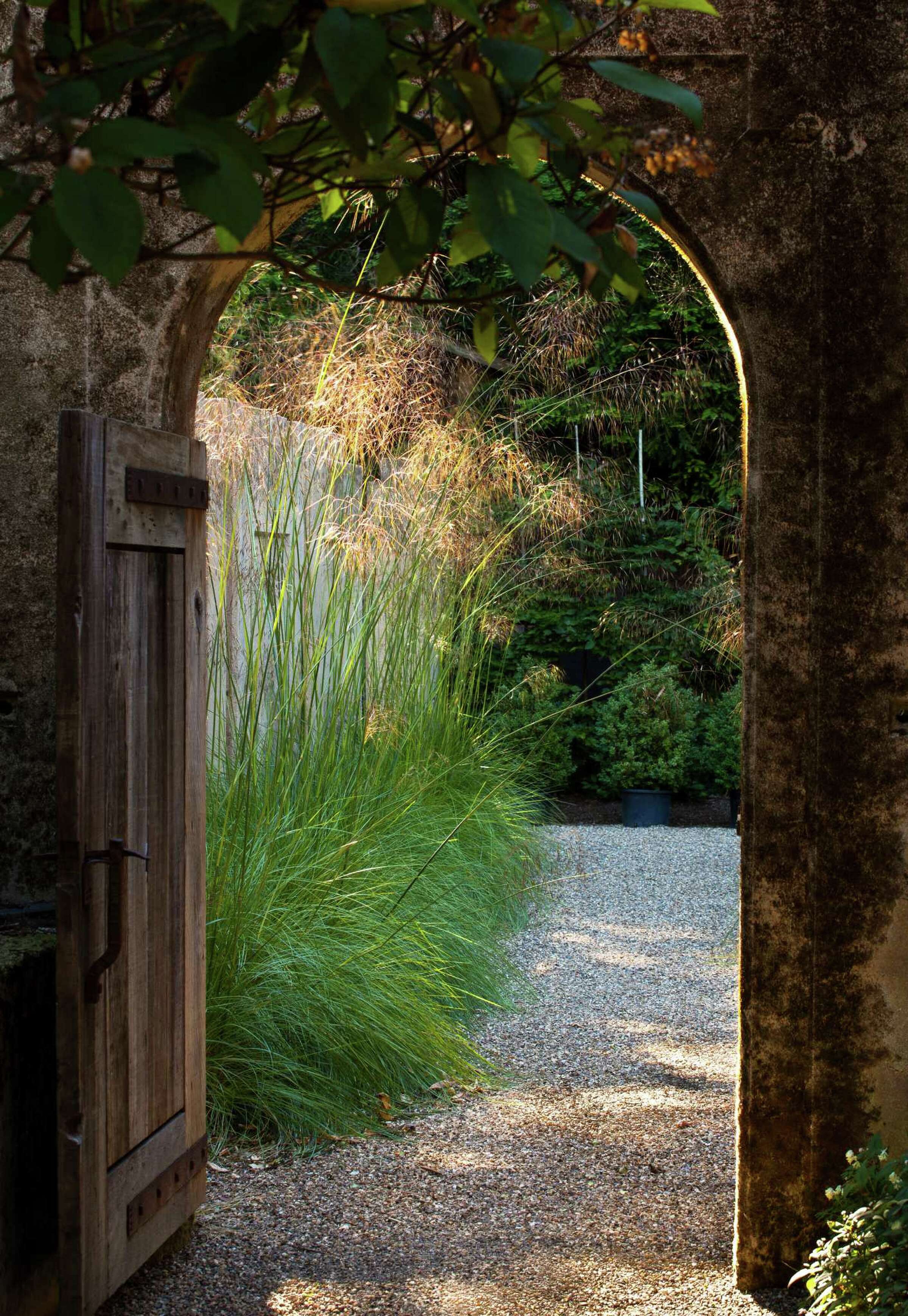 Ornamental Grasses Capture Attention With Easy Beauty Easy Care