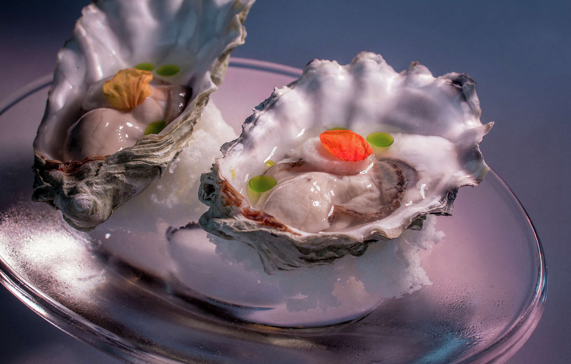 Californios takes Mexican to a new place: Precious