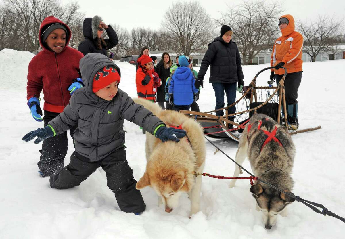 Sled dogs travel to St. Gregory's