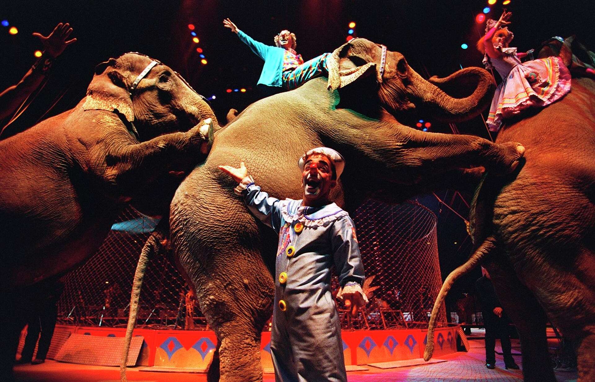 Activists win: Elephants to exit the Ringling Bros. circus ring