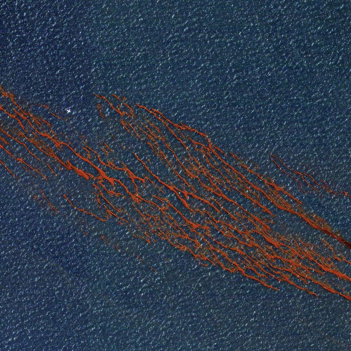 Massive satellite web will produce daily images of the entire Earth