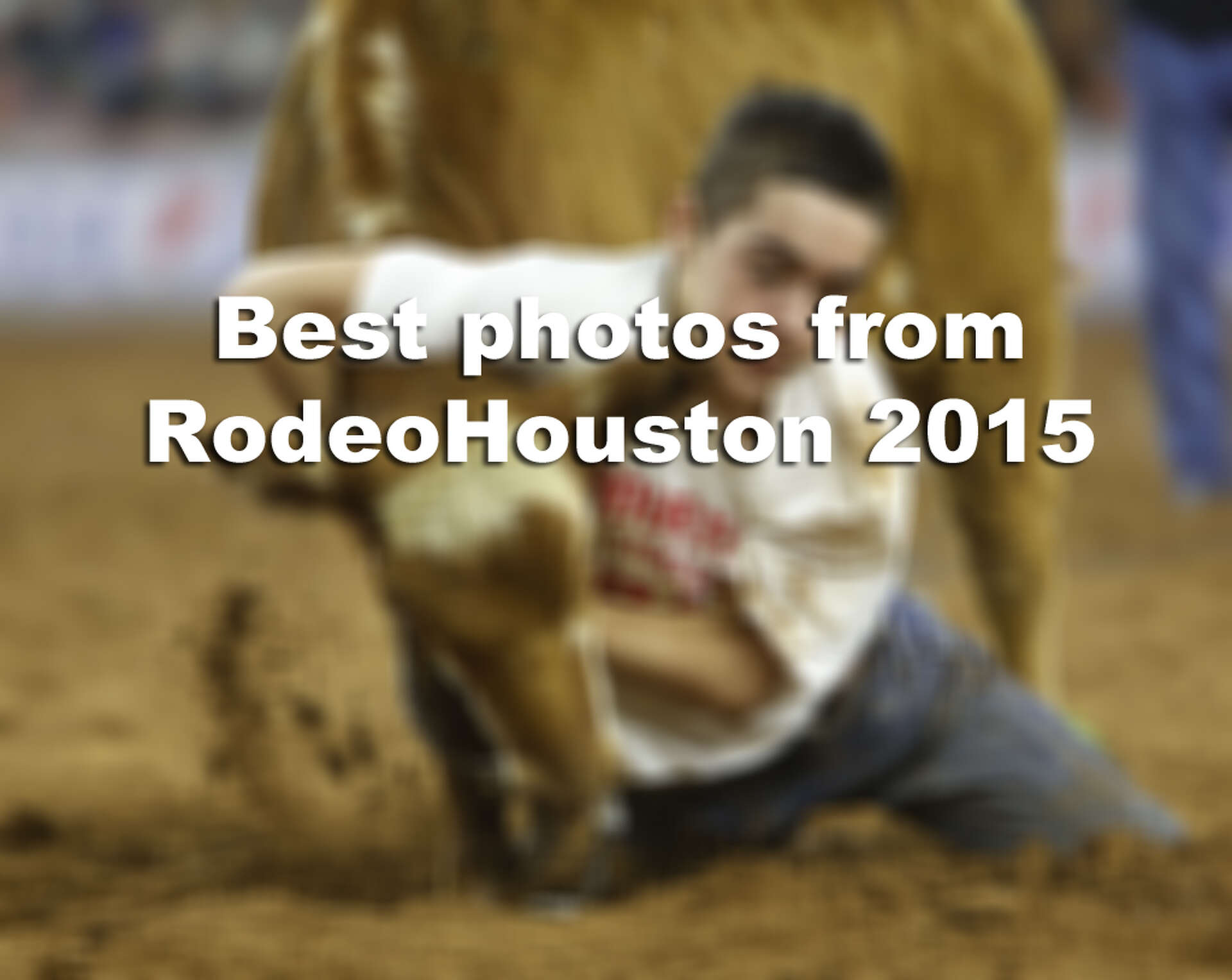 Is this RodeoHouston baby chicken giving you the stink eye?