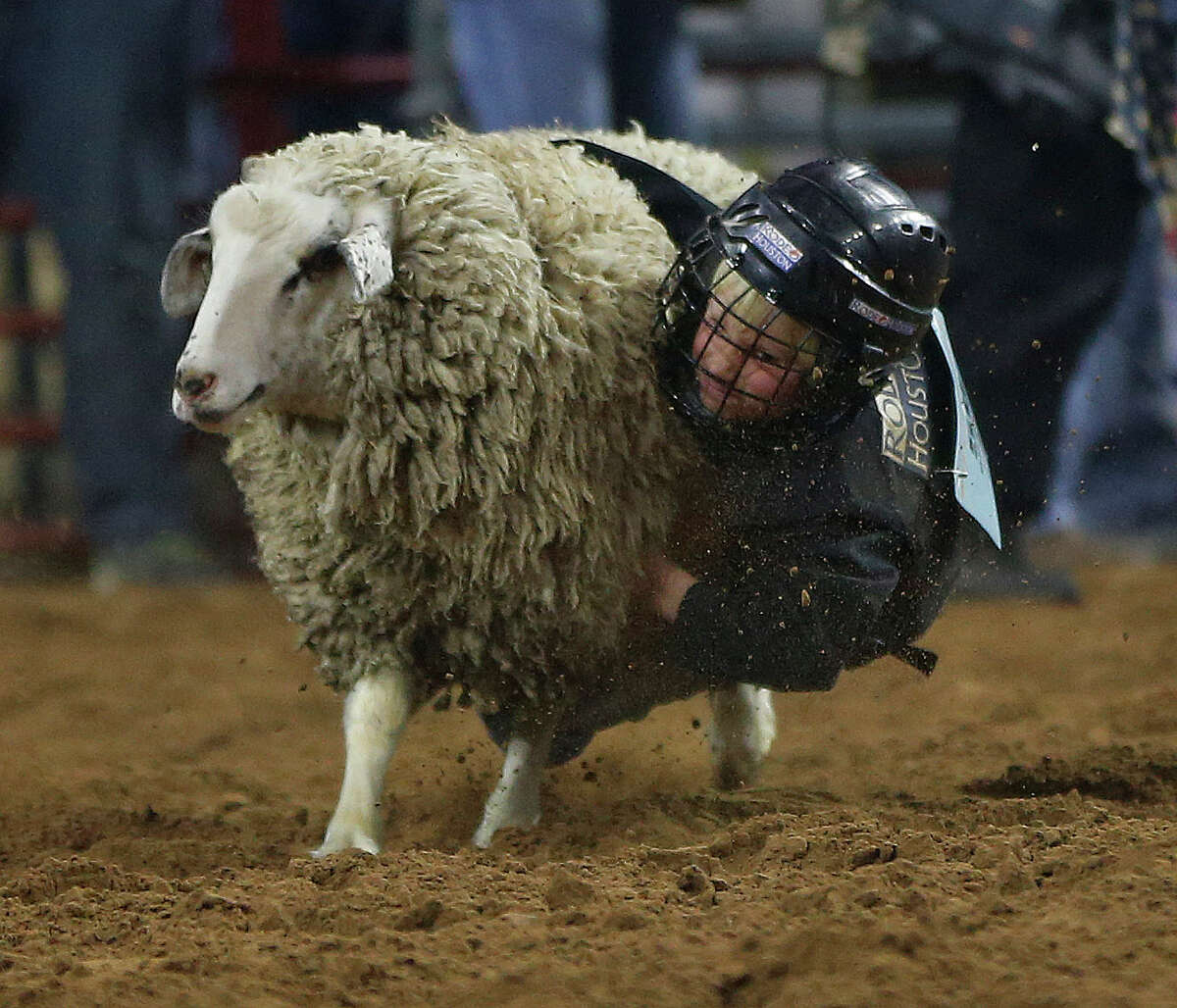 Mutton busting is serious business at RodeoHouston