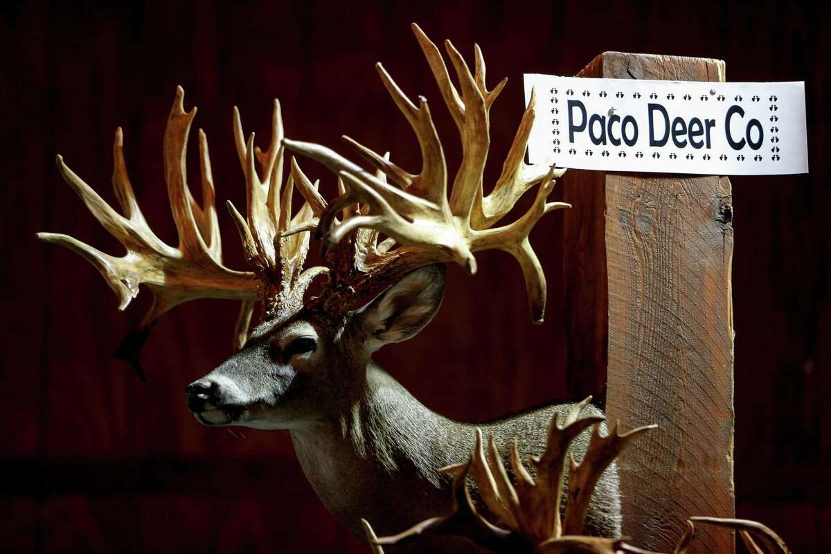 Deer breeders under the gun to change practices