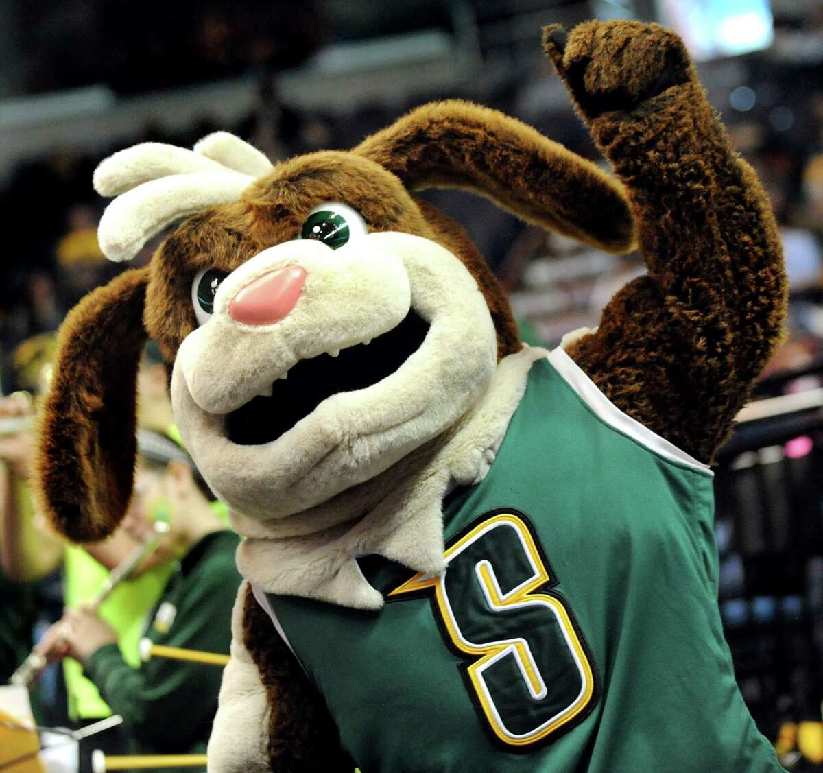 Photos: The Capital Region's most memorable mascots