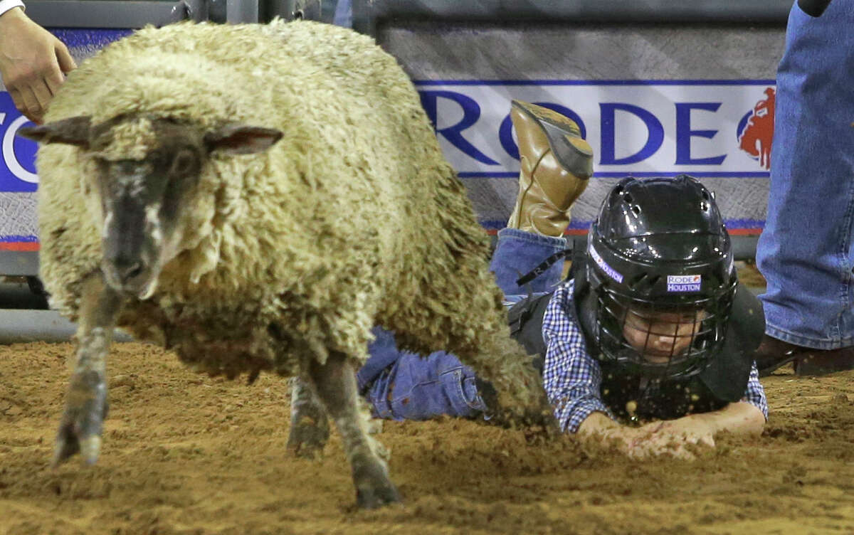 Mutton busting is serious business at RodeoHouston