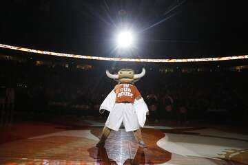 Bevo XV makes his debut 100 years after the first Bevo went to a UT ...