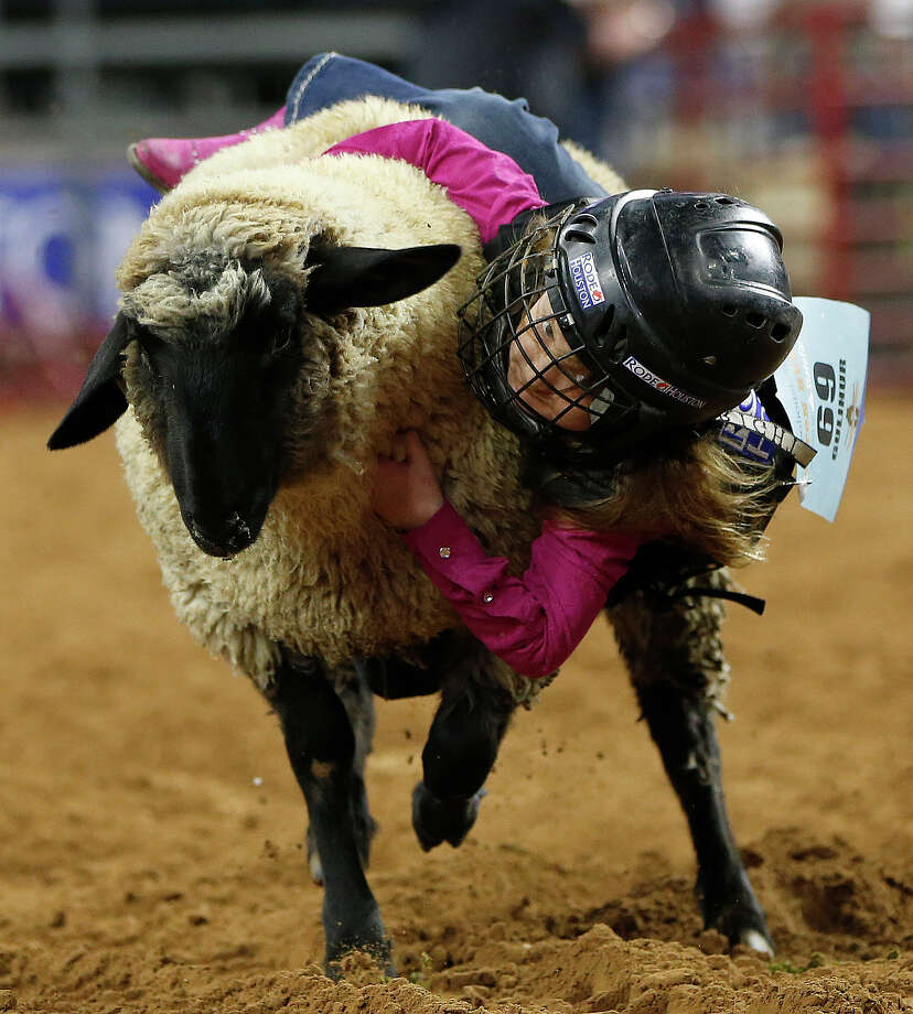 Mutton busting is serious business at RodeoHouston - Houston Chronicle