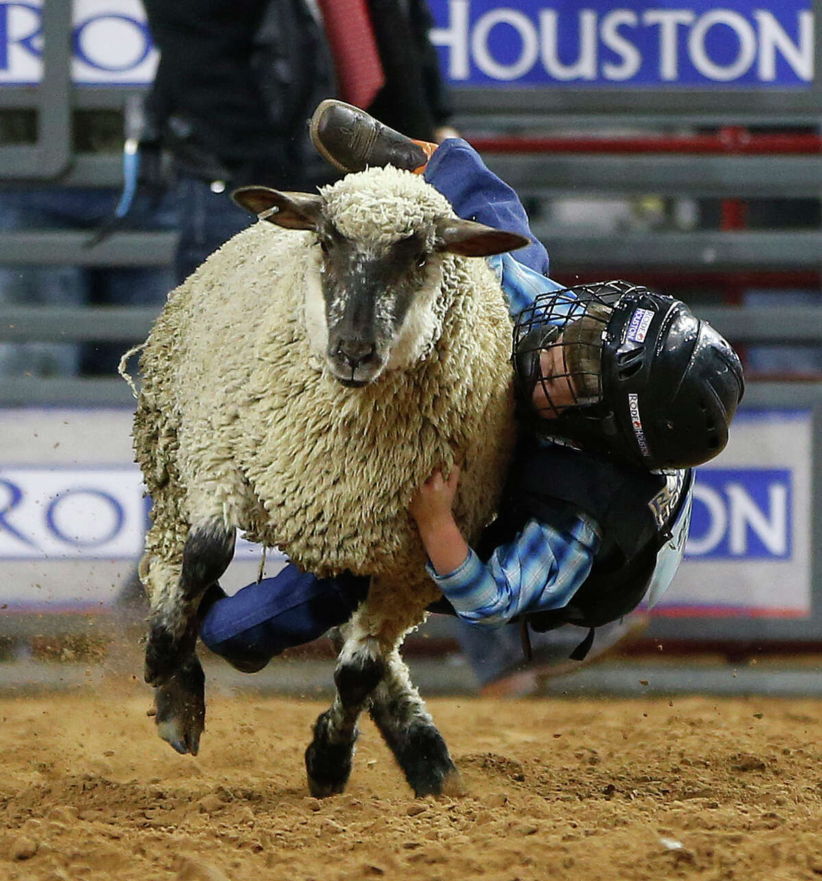 Mutton busting is serious business at RodeoHouston