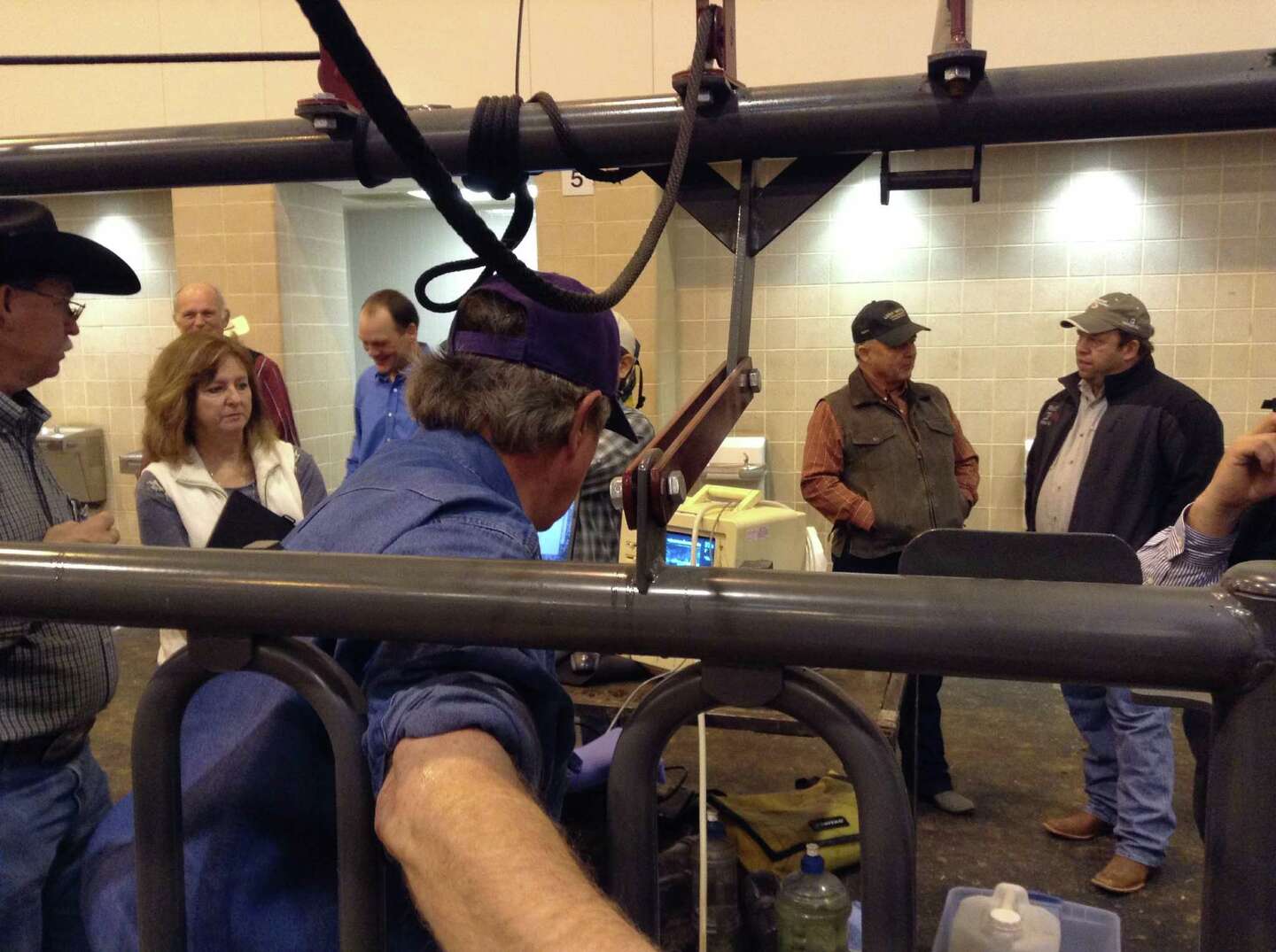 Just how marbled is that cow's beef? You'll need to ultrasound it to ...