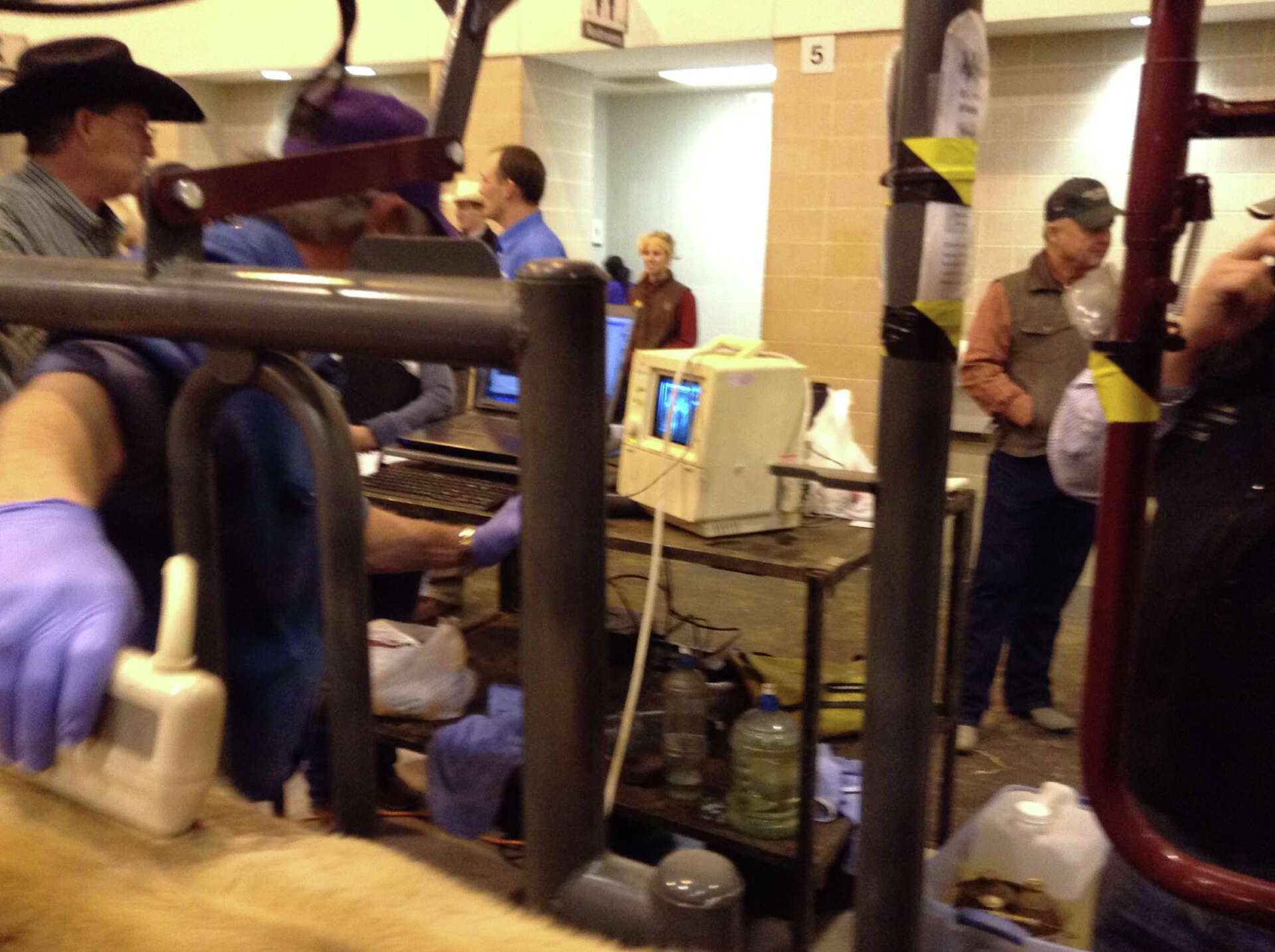 Just how marbled is that cow's beef? You'll need to ultrasound it to ...