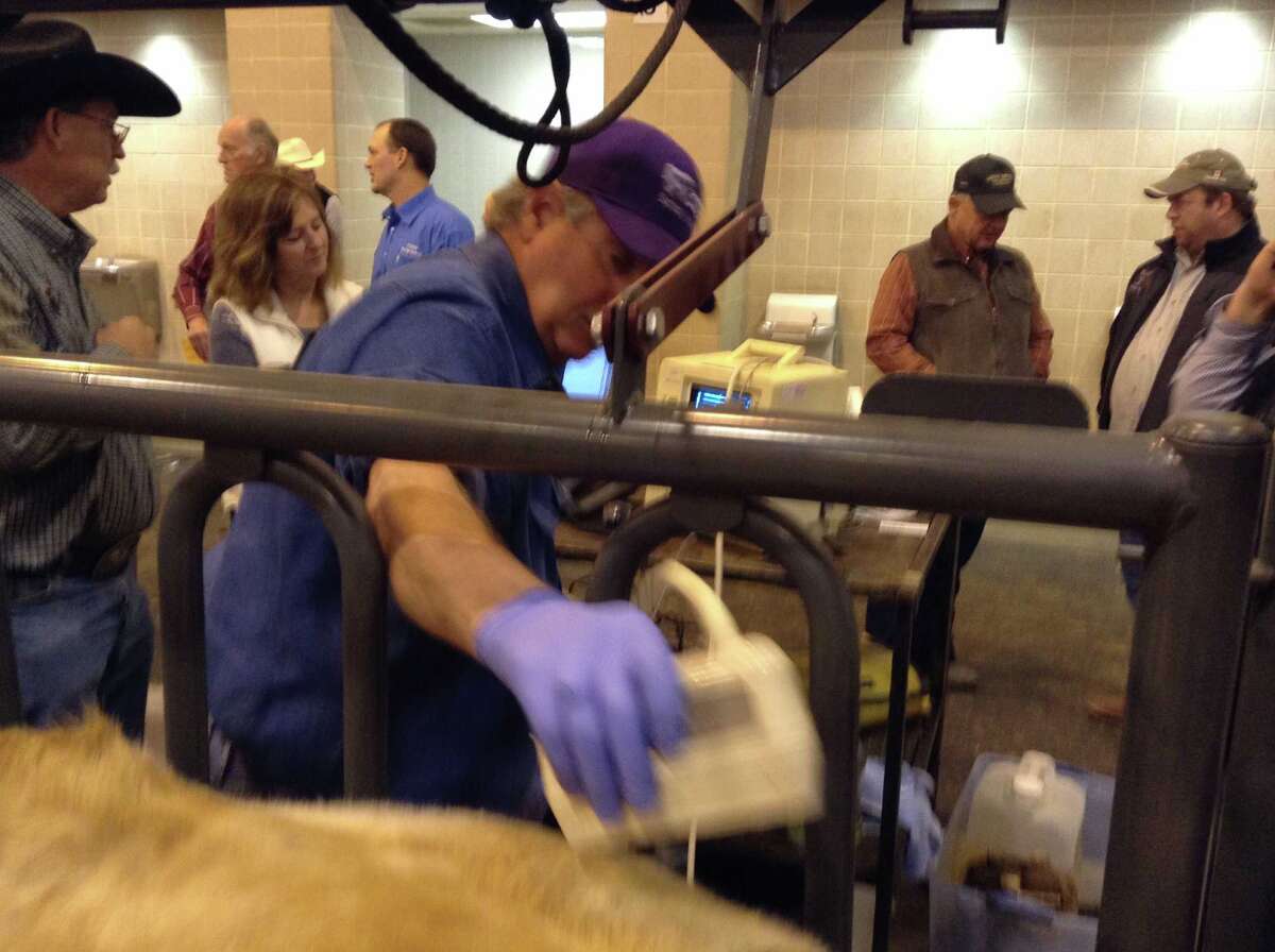 Just how marbled is that cow's beef? You'll need to ultrasound it to ...