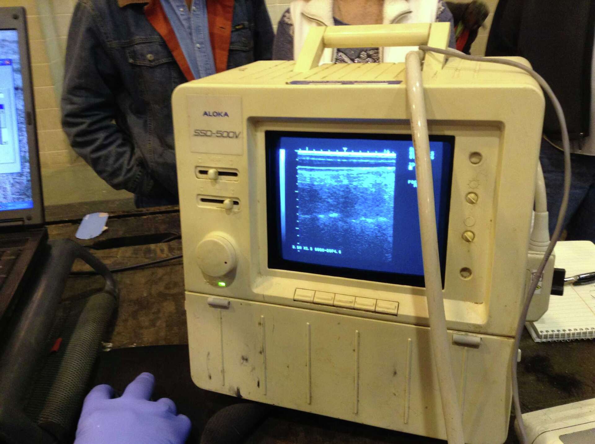 Just how marbled is that cow's beef? You'll need to ultrasound it to ...
