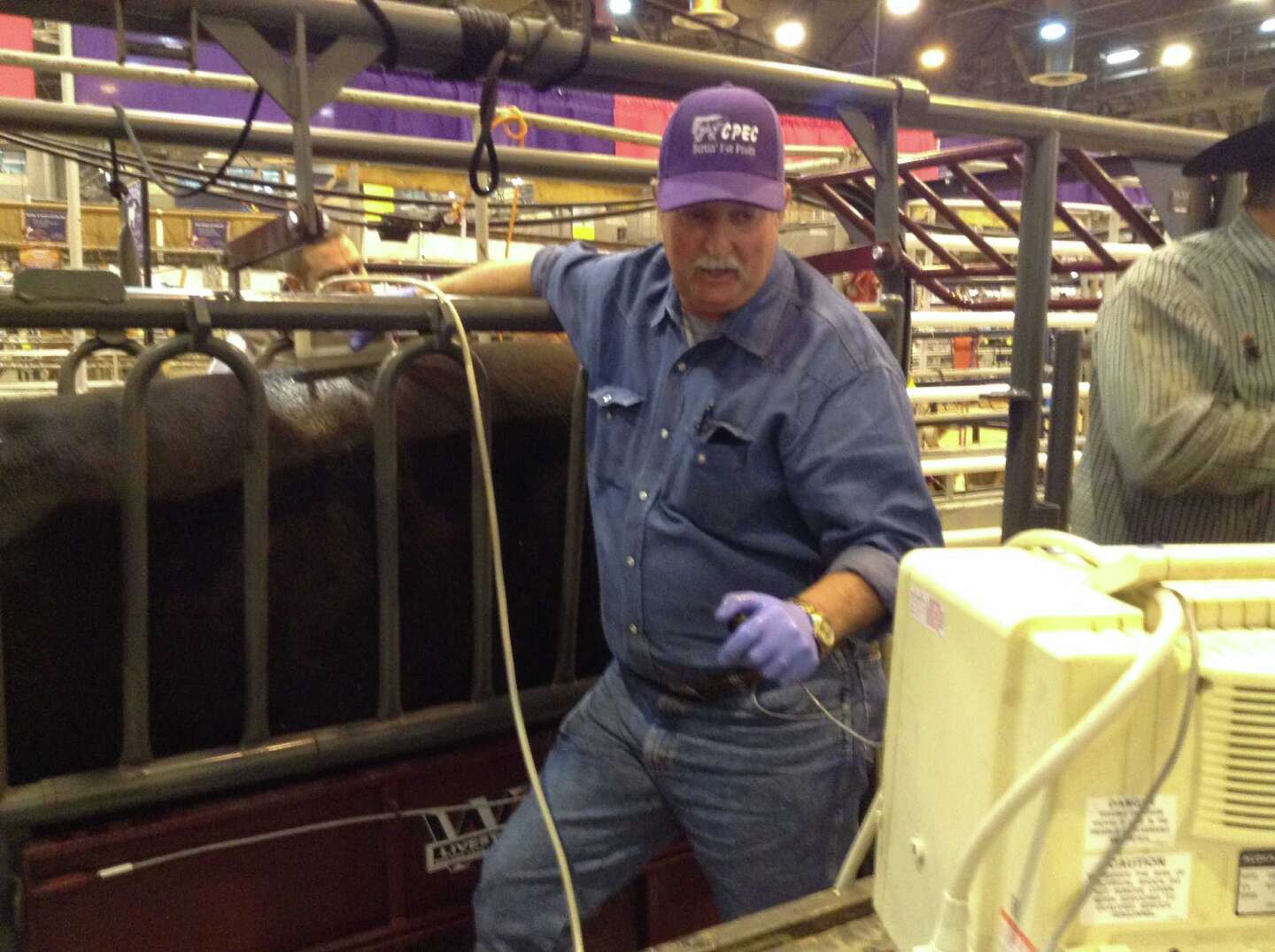 Just how marbled is that cow's beef? You'll need to ultrasound it to ...