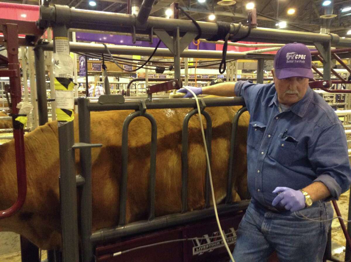 Just how marbled is that cow's beef? You'll need to ultrasound it to ...