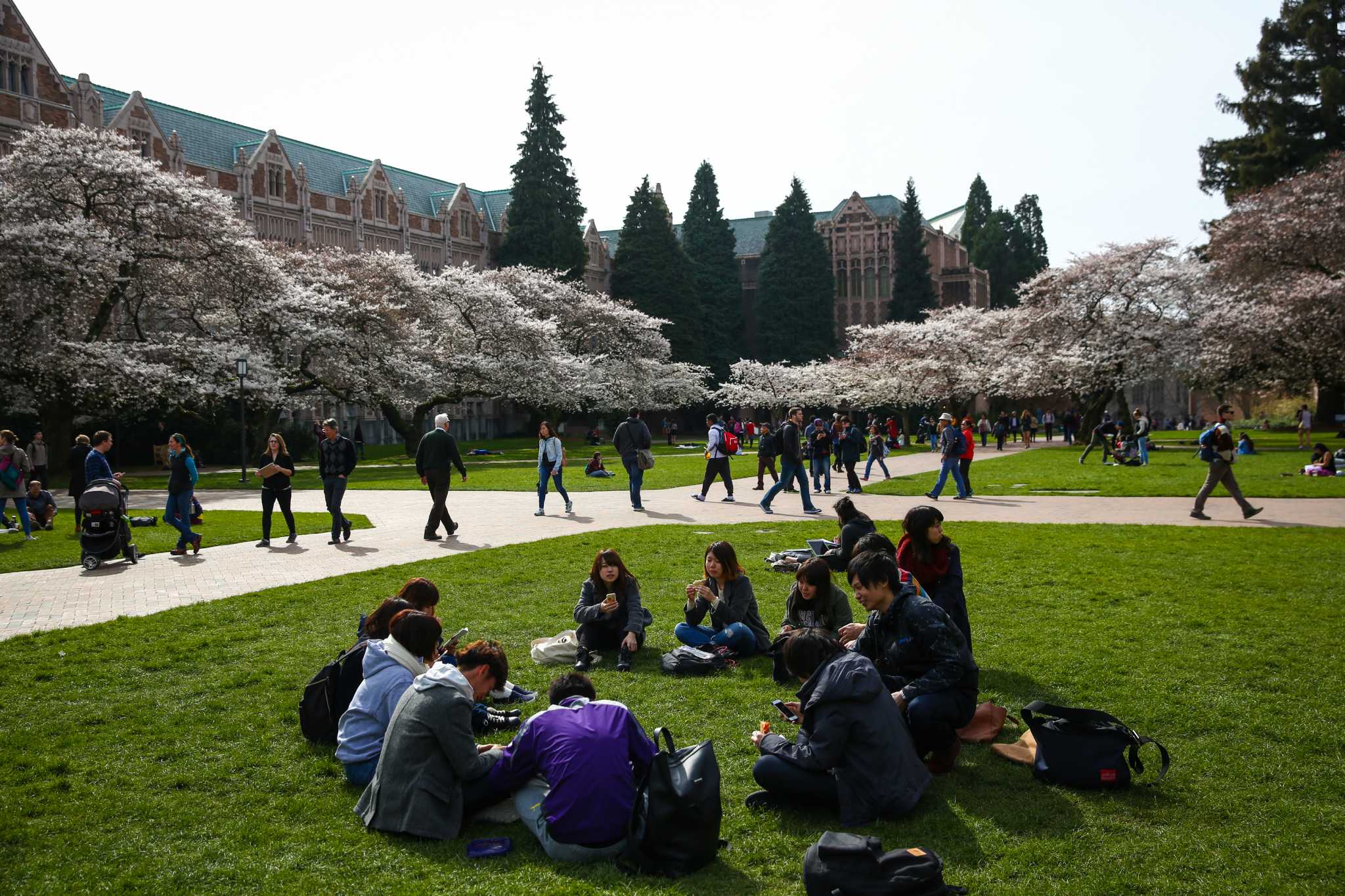 The top universities in the U.S., according to U.S. News & World Report