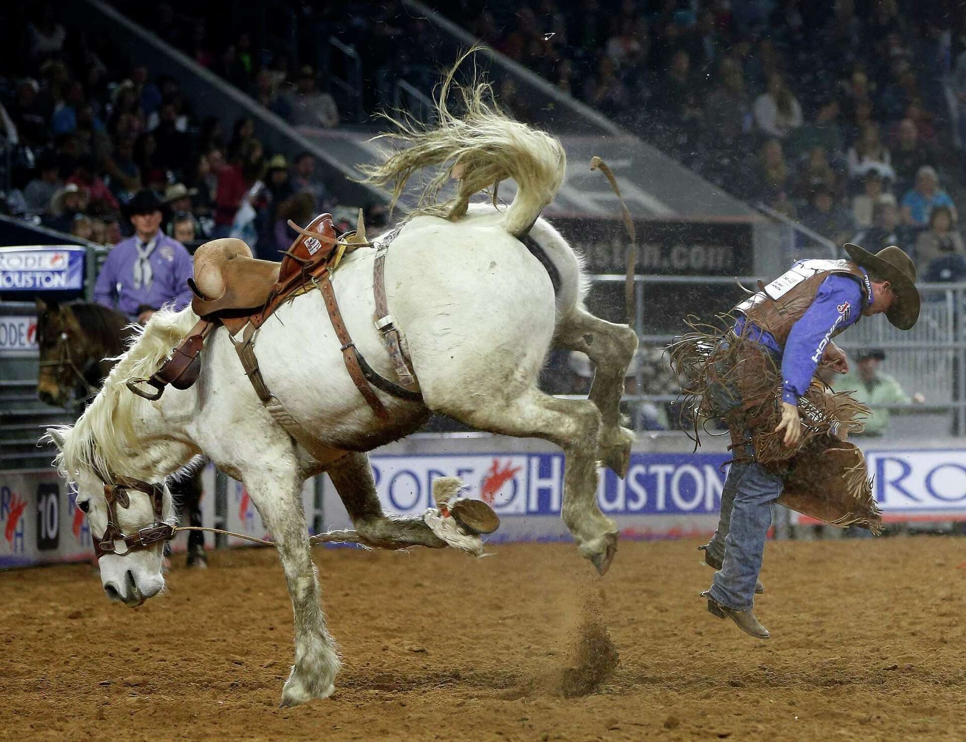 The secret lives of broncs