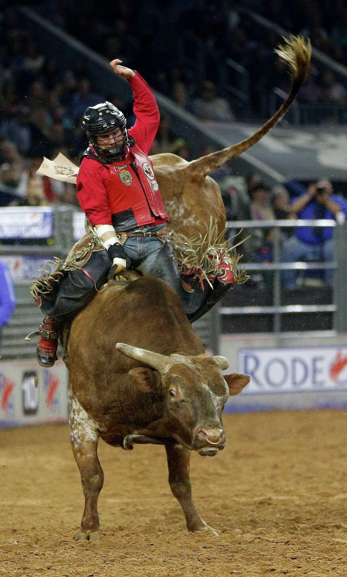 Which RodeoHouston animals are insured?