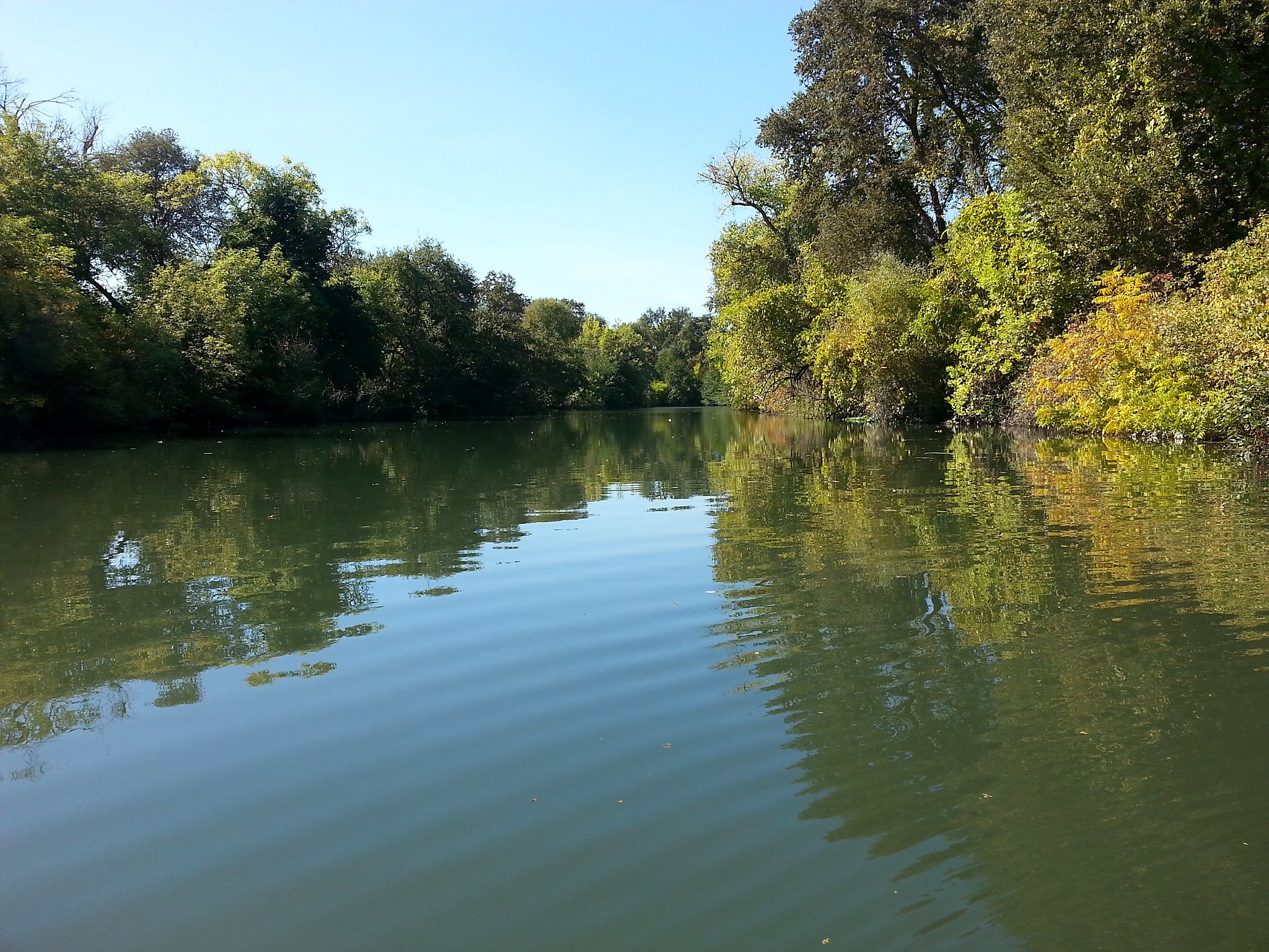 Slow down with a serene paddle through Cosumnes River Preserve