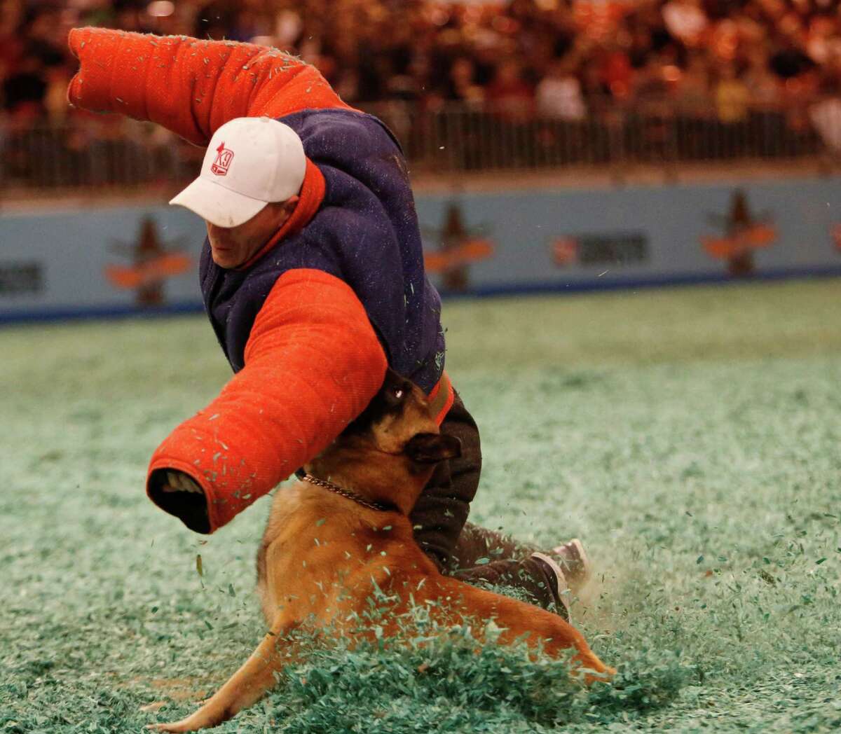 K9 attack dogs compete at RodeoHouston