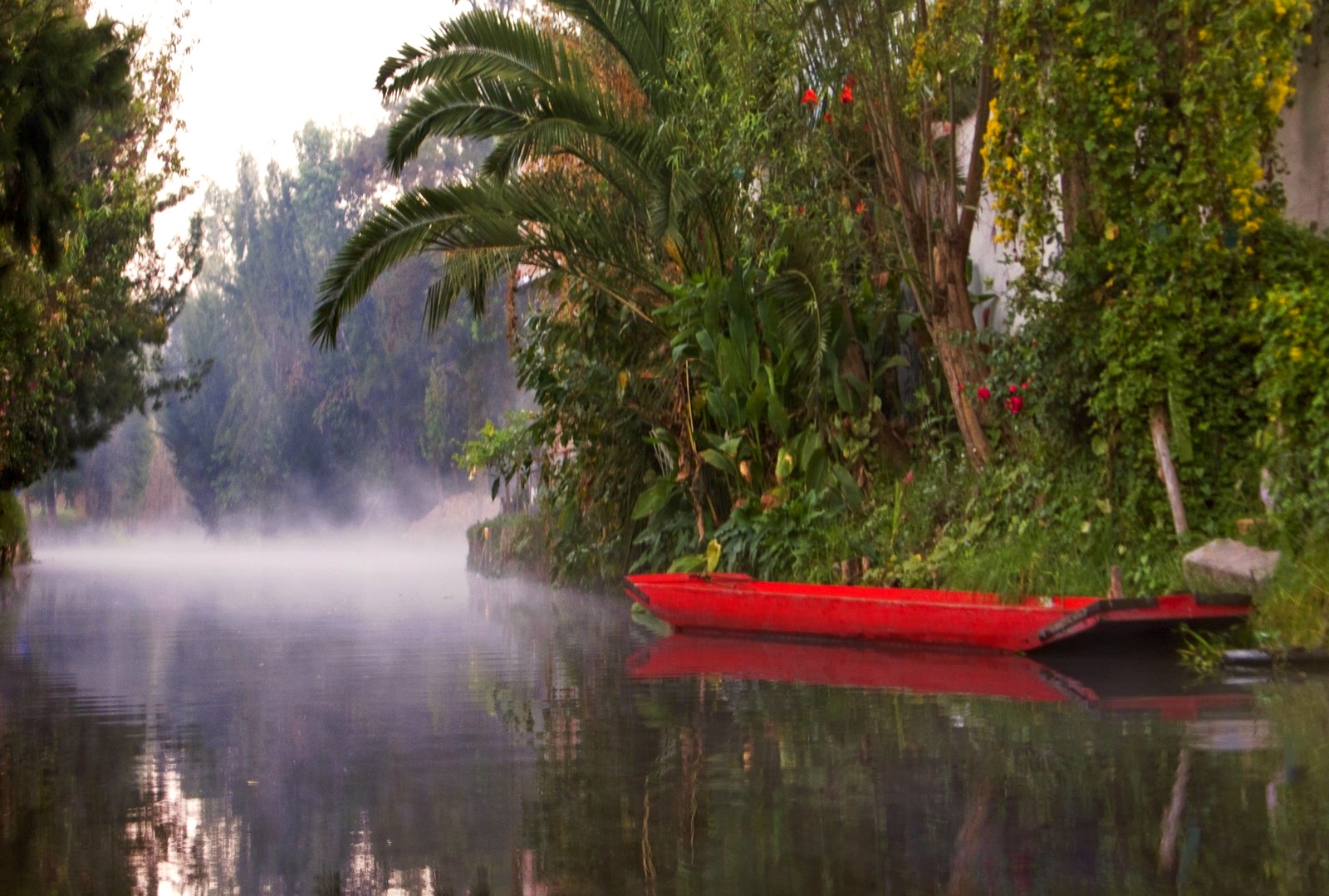 The stunning ancient canals of Mexico City’s Xochimilco